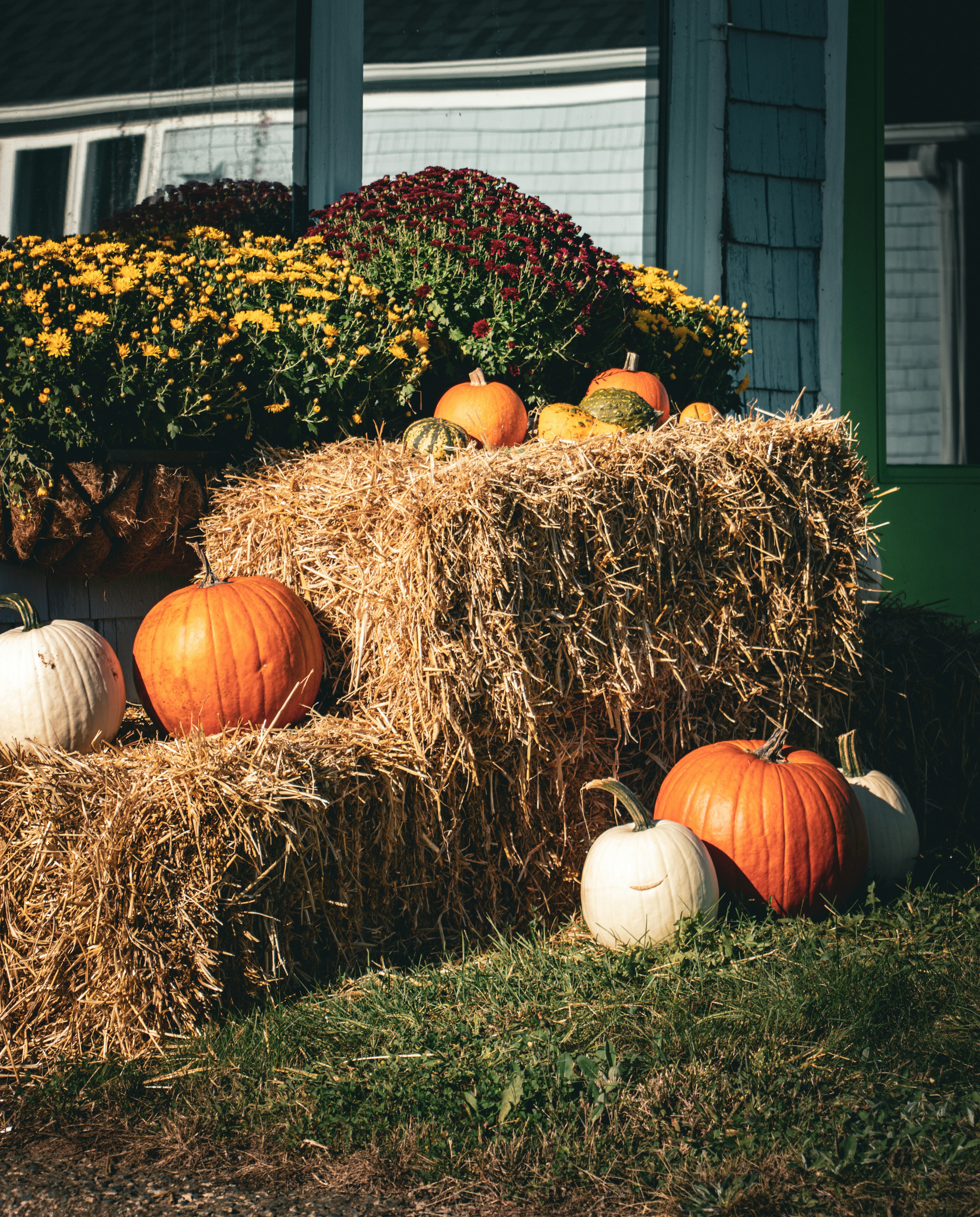 Harvest Display: Pumpkins and Chrysanthemums on Sunlit Hay Stacks