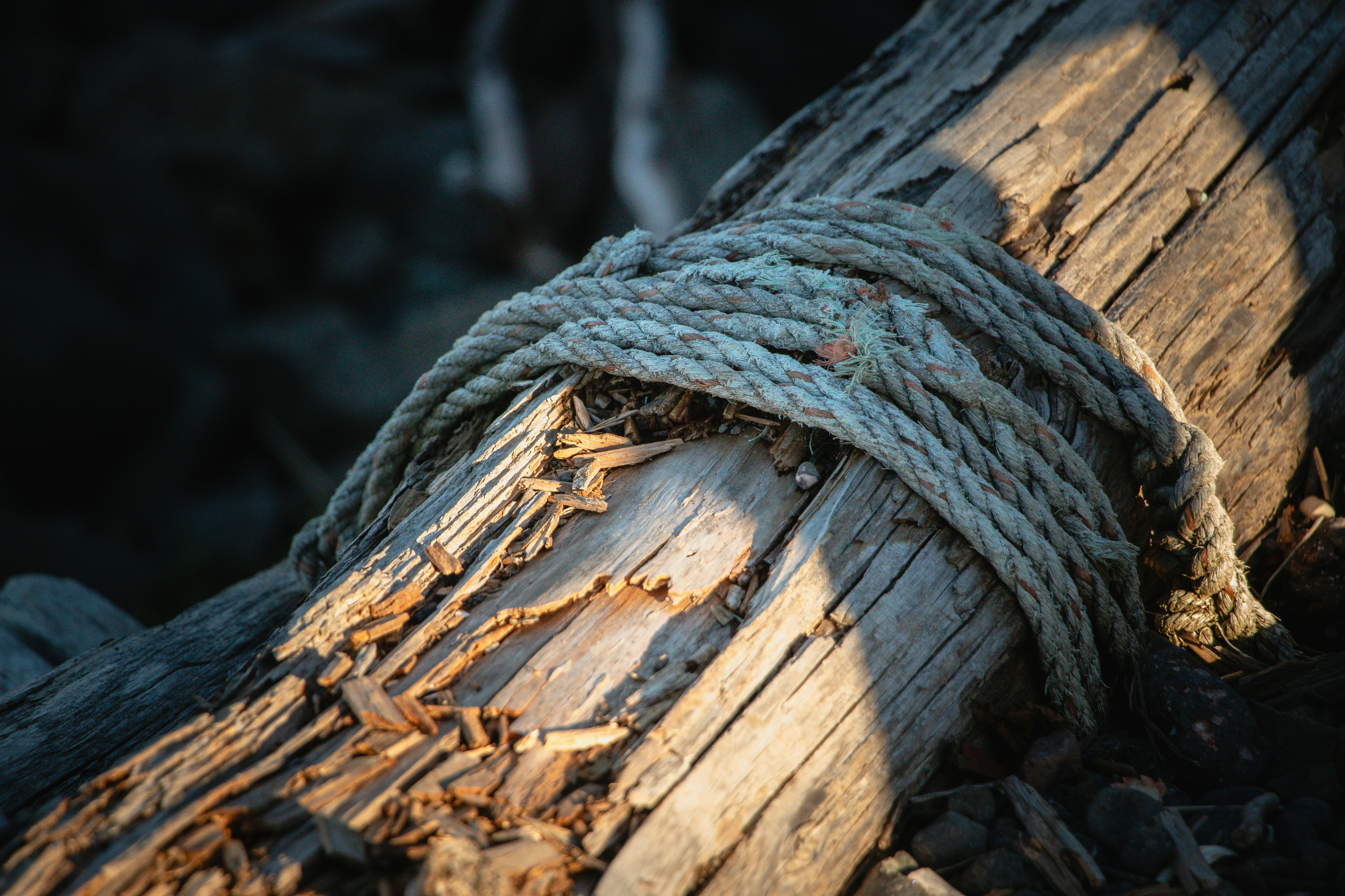 A thick weathered rope wrapped around a textured wooden log in low light