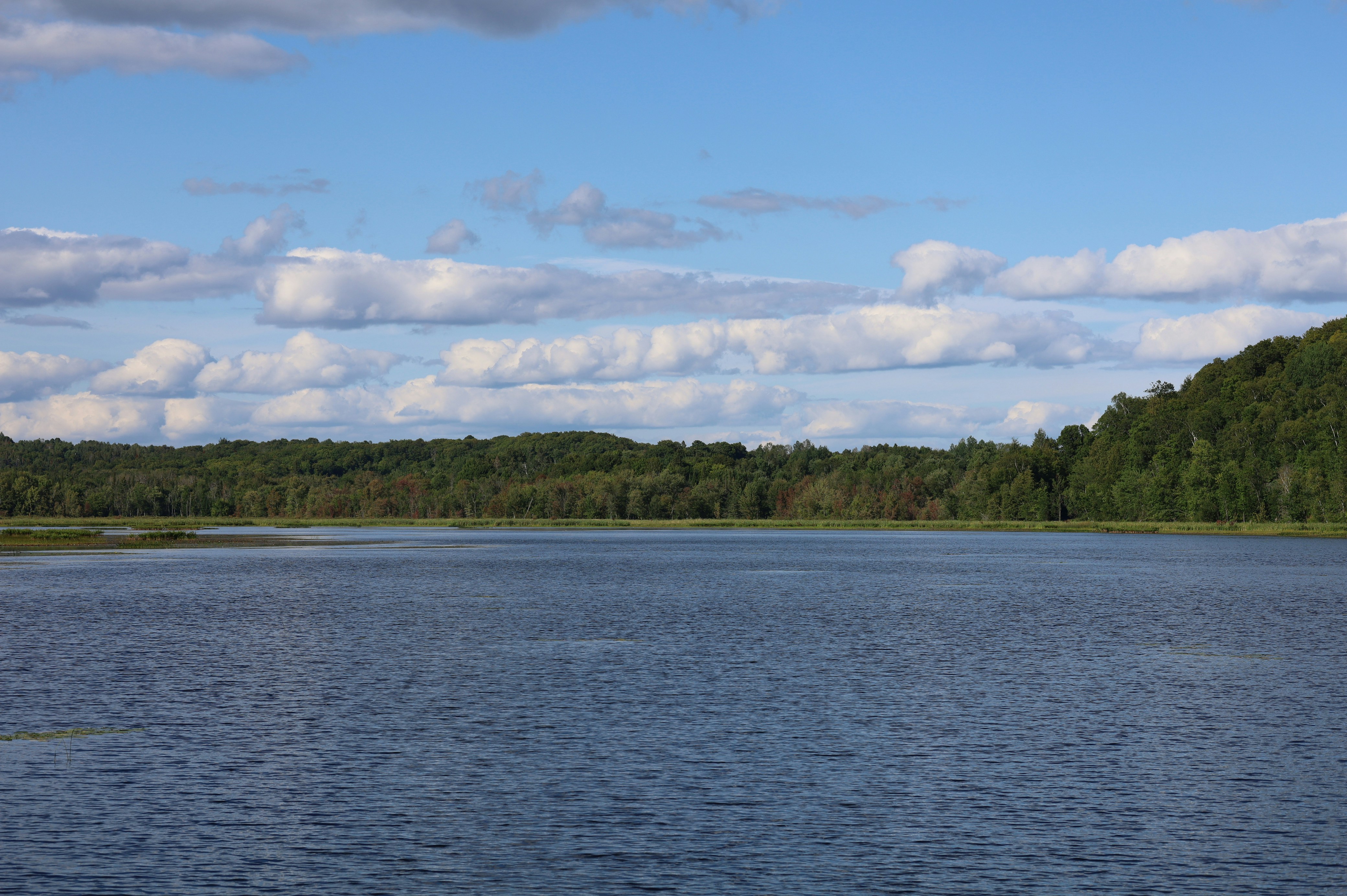Wide river scene with a distant tree line under a bright, partly cloudy sky; tranquil water foreground and a natural shoreline, emphasizing calm landscape and depth.