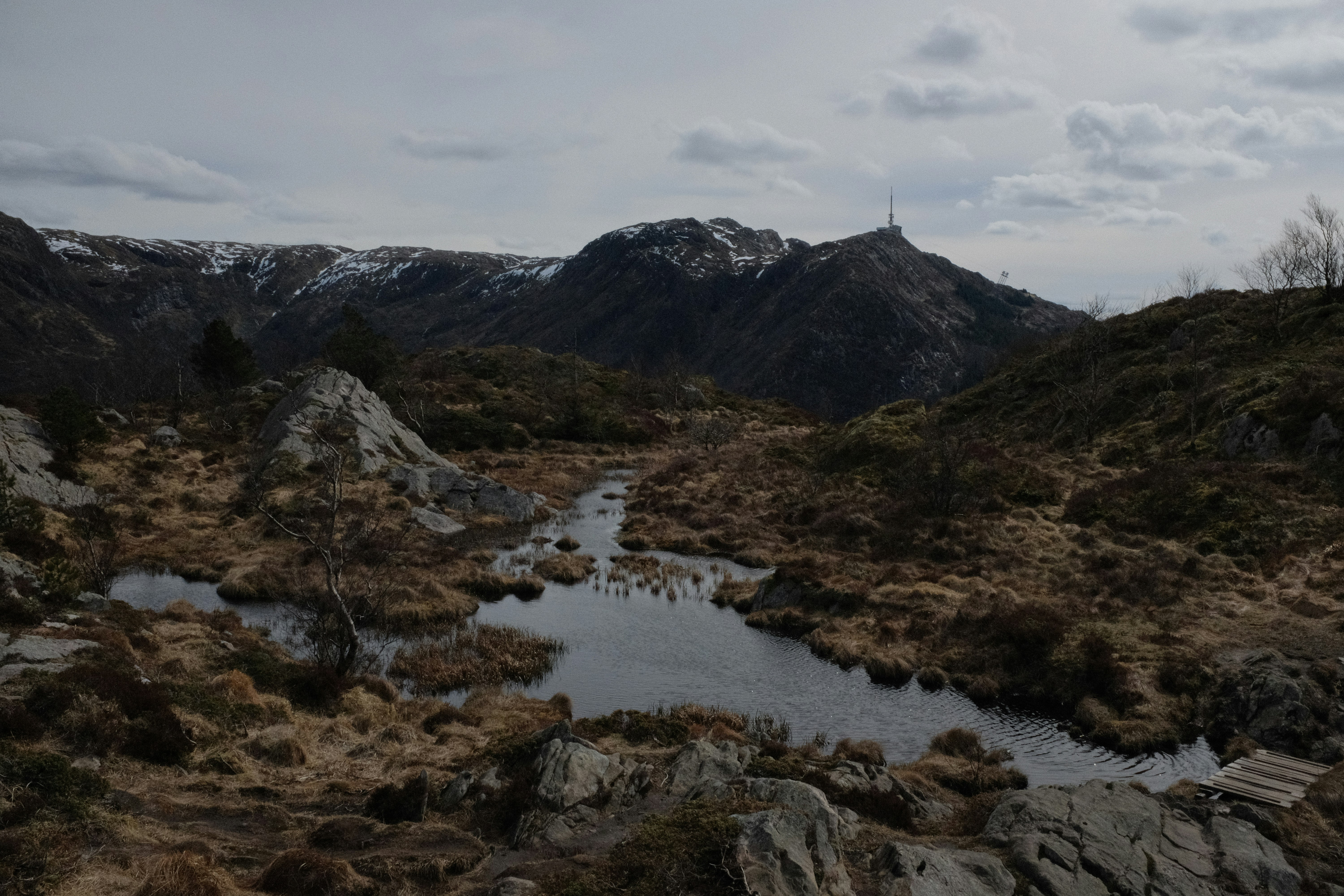 Stormy Moorland Overlook with Snow-dusted Peaks