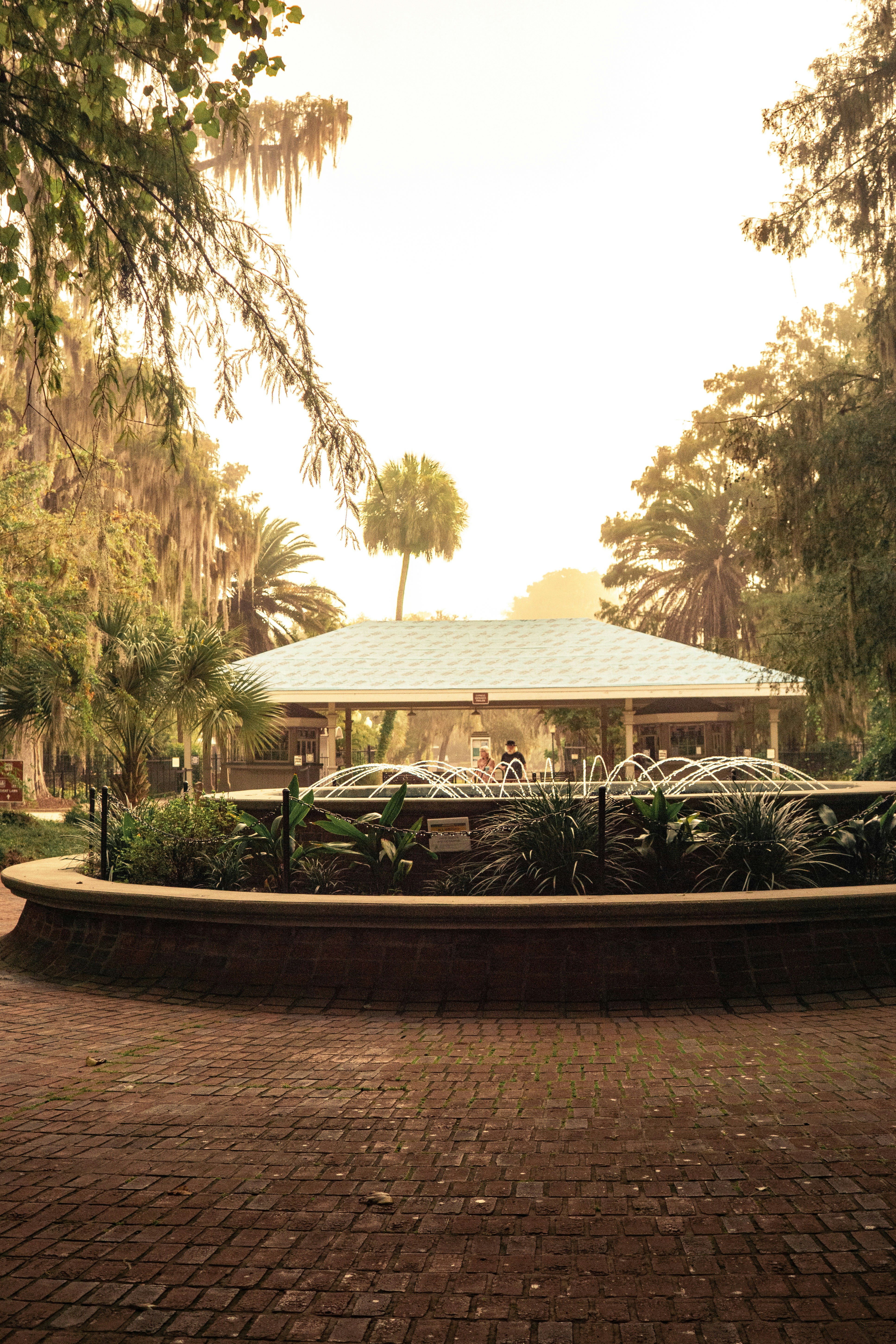 Sunlit Courtyard Fountain with Canopy Shelter