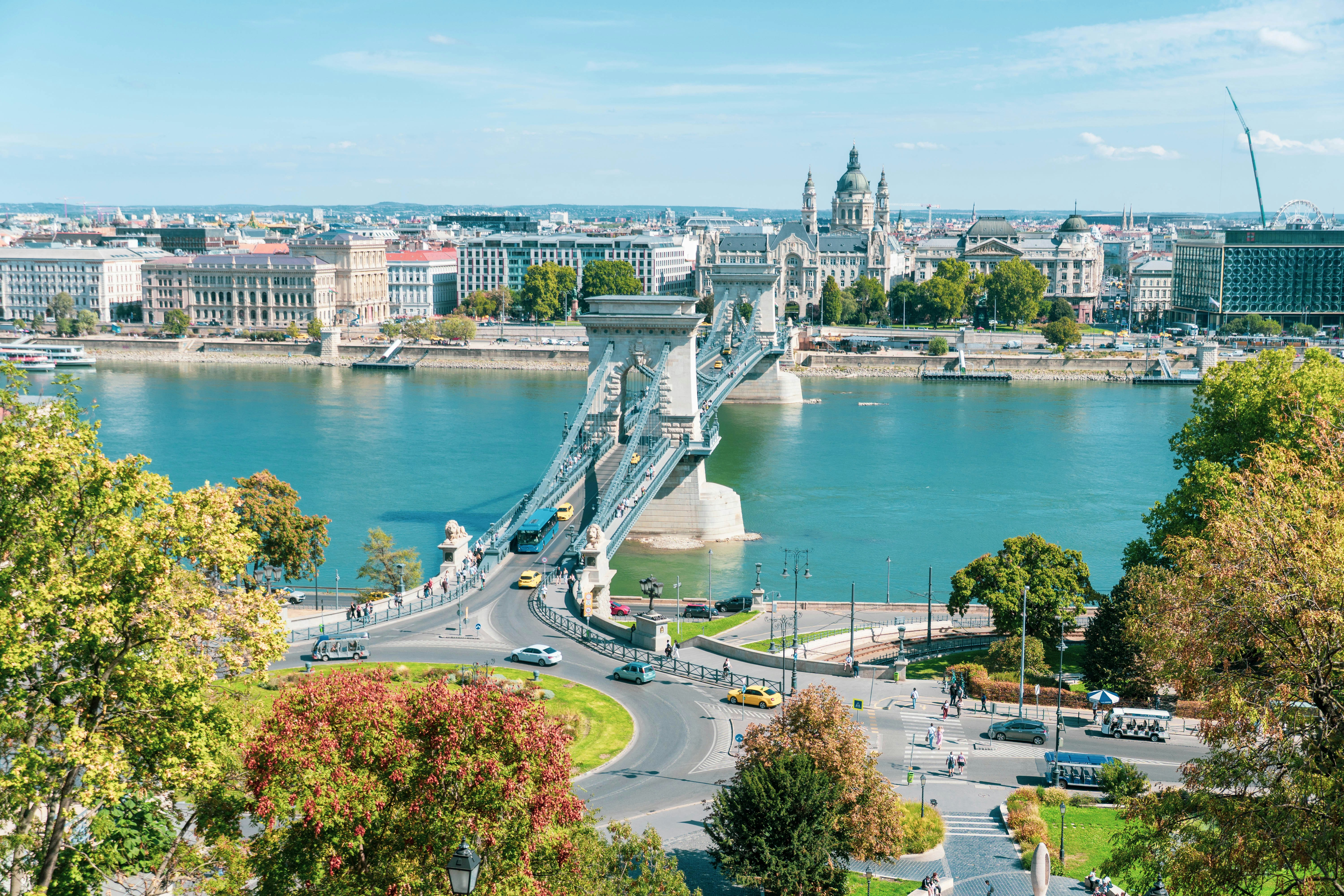 Hungarian Danube Panorama: Chain Bridge Framed by Riverside Greens