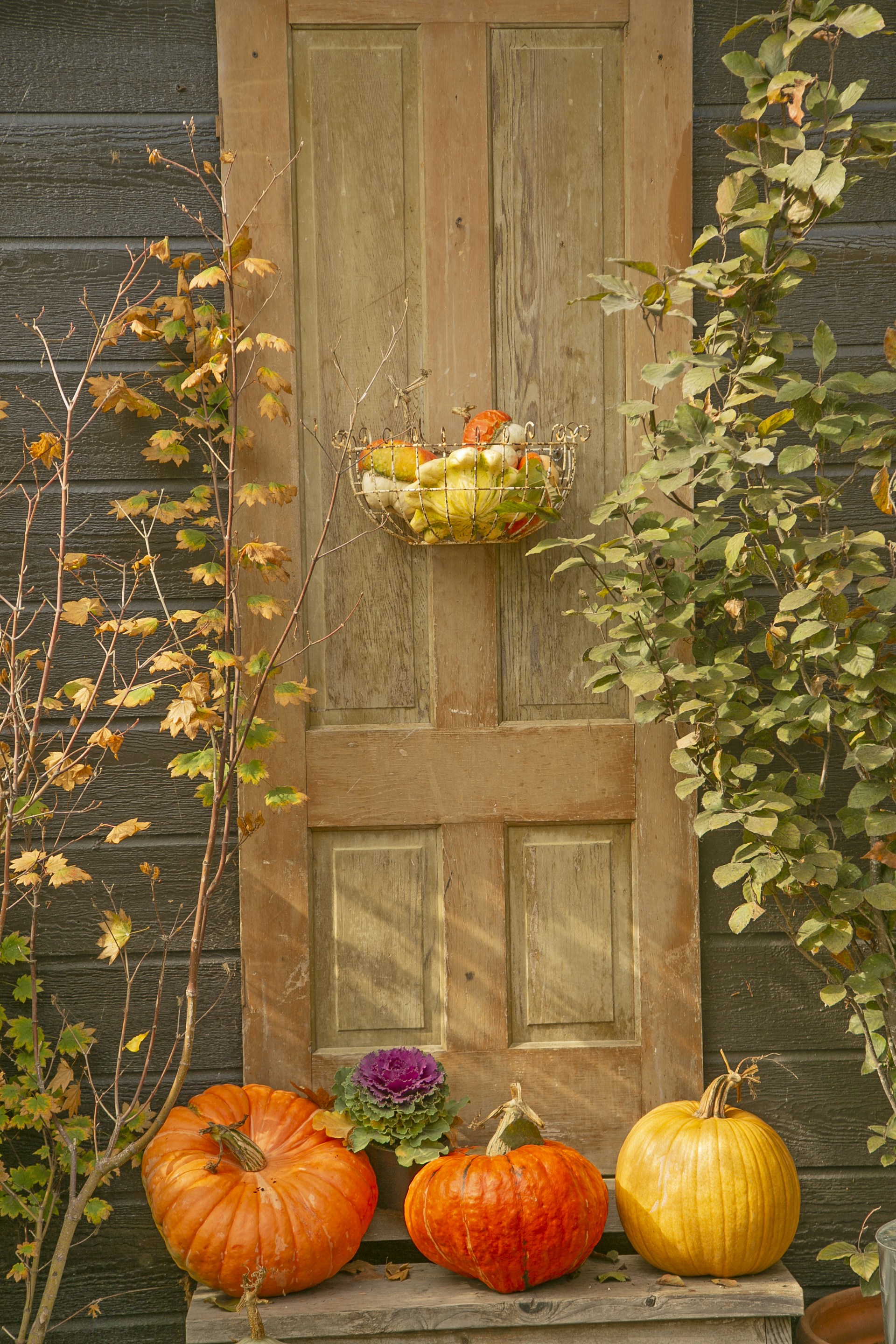 Harvested doorway: pumpkins beneath a rustic wooden door