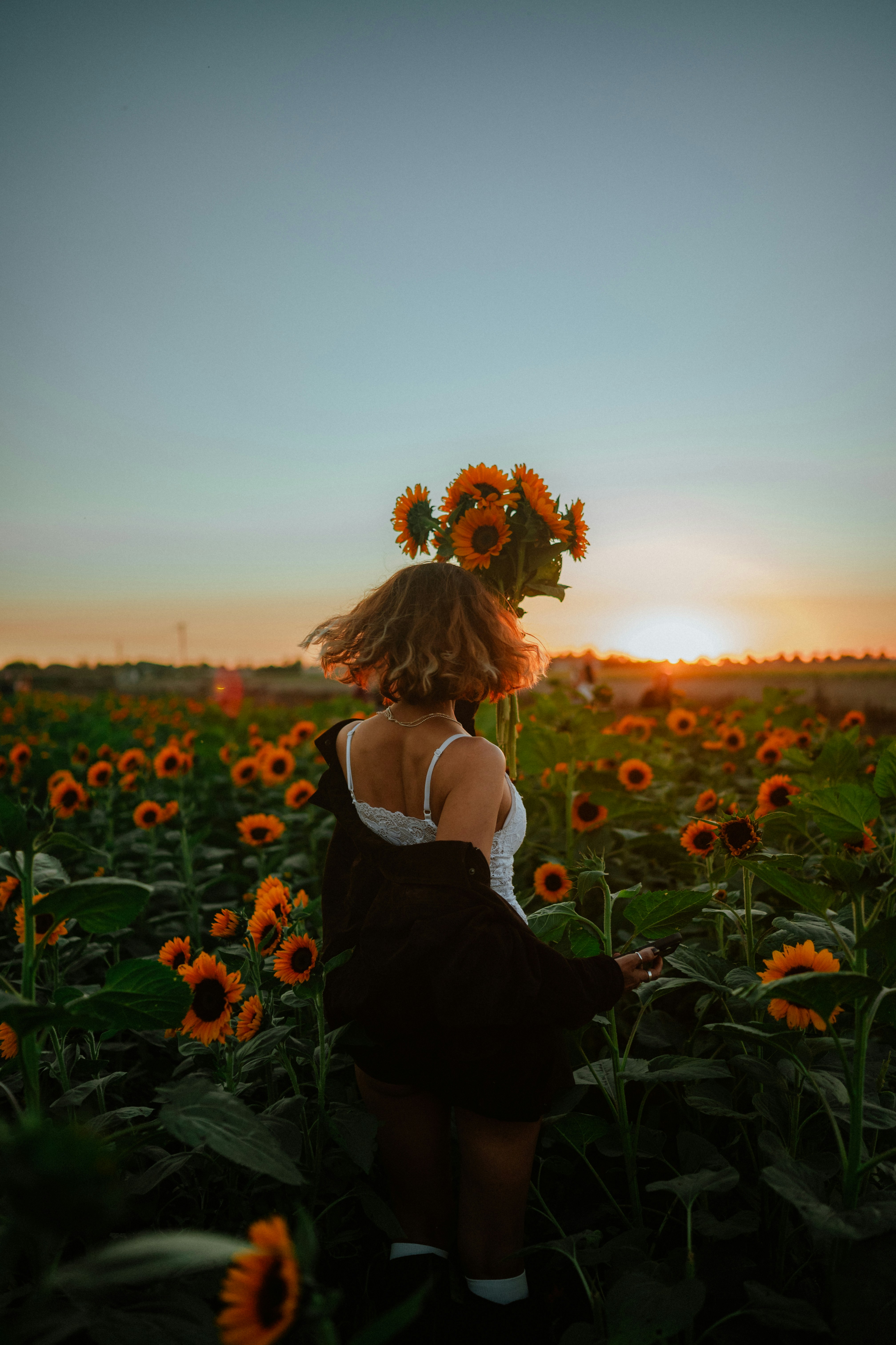 Sunflowers at Sunset: A Silhouette of Graceful Glow