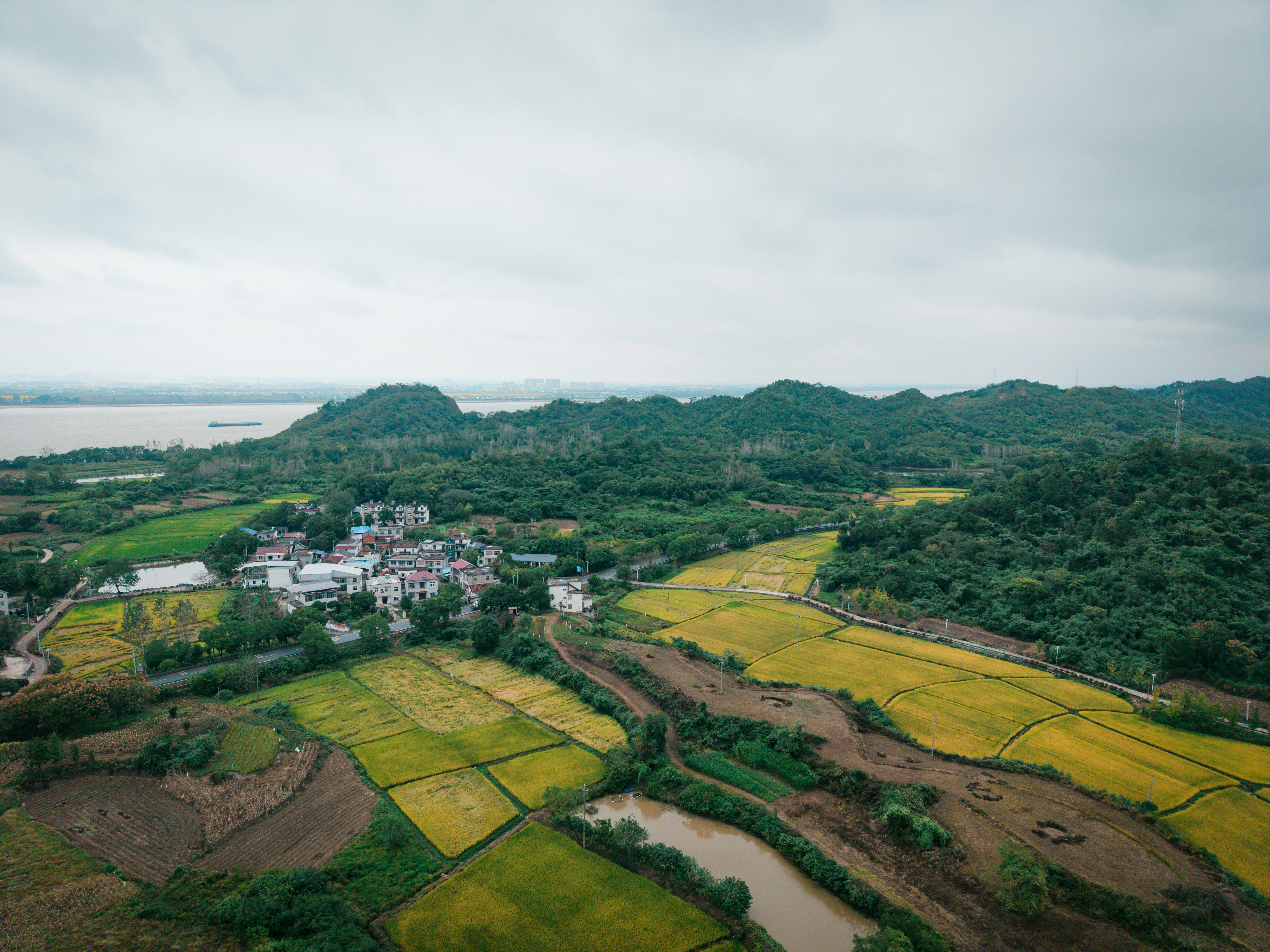 Terraced Fields Carved by Rivers: A Distant Coastal Landscape
