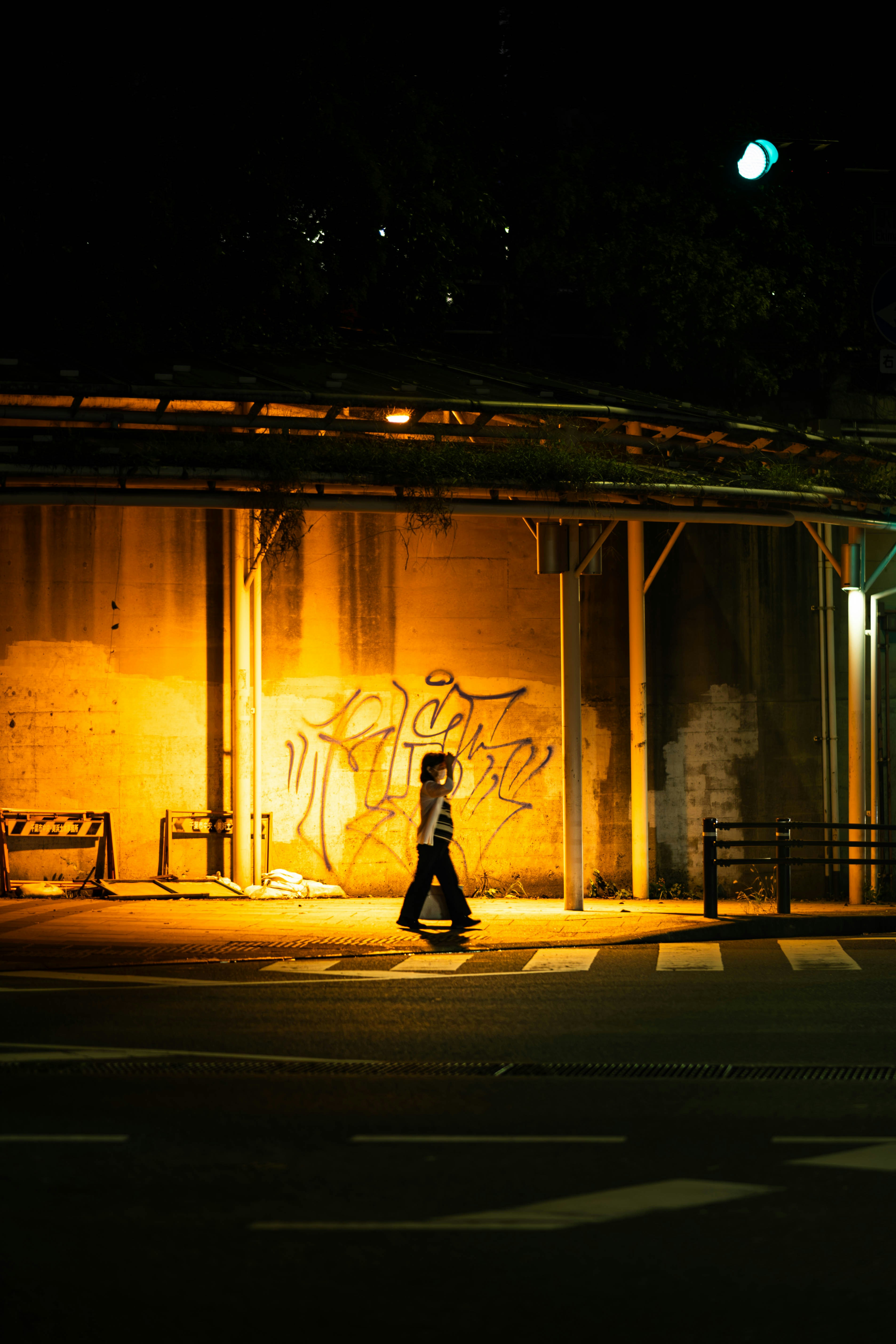 Midnight Walk Across a Graffitied Wall