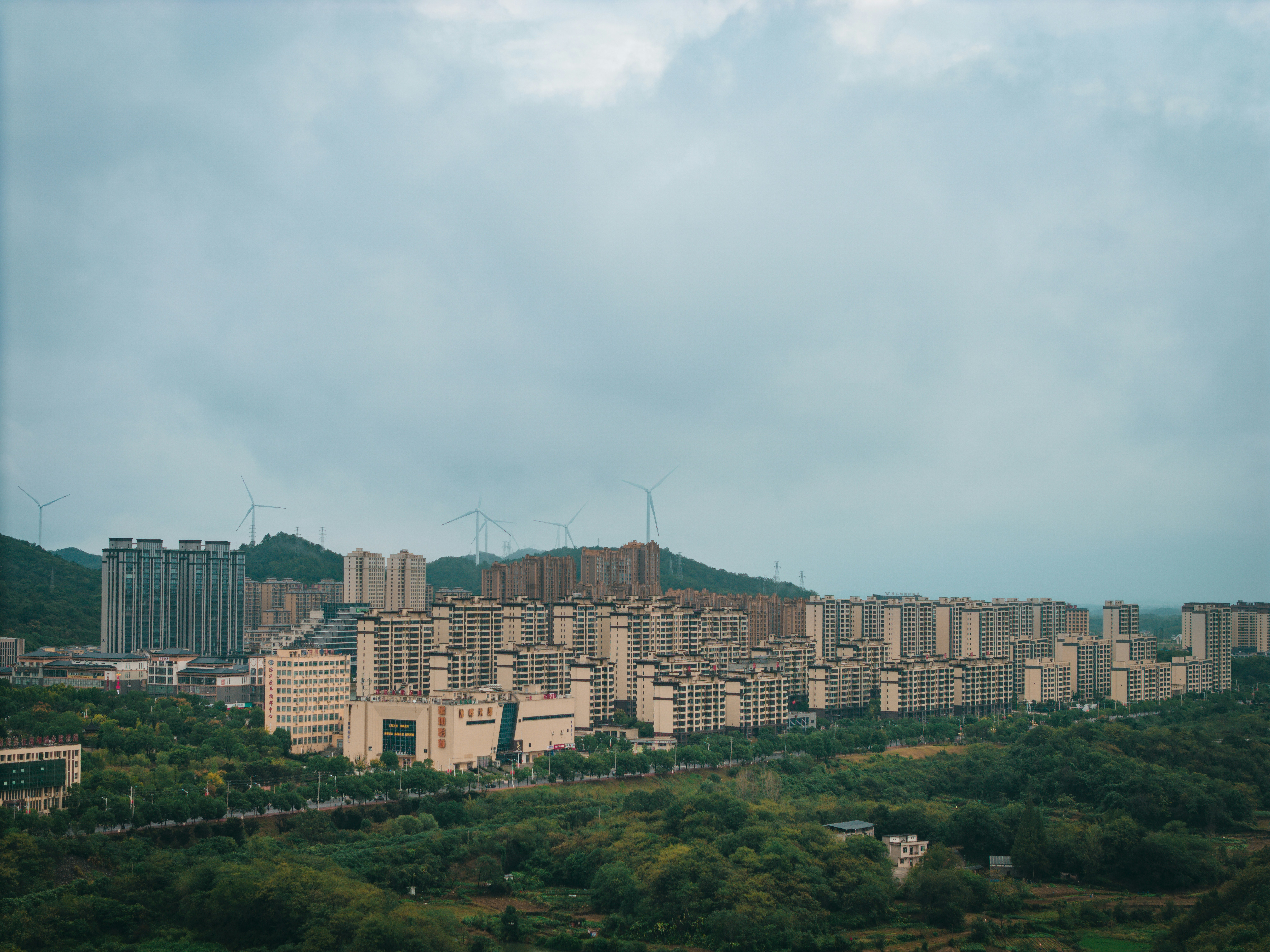 Horizon of Heights: Urban Panorama Under Subtle Skies