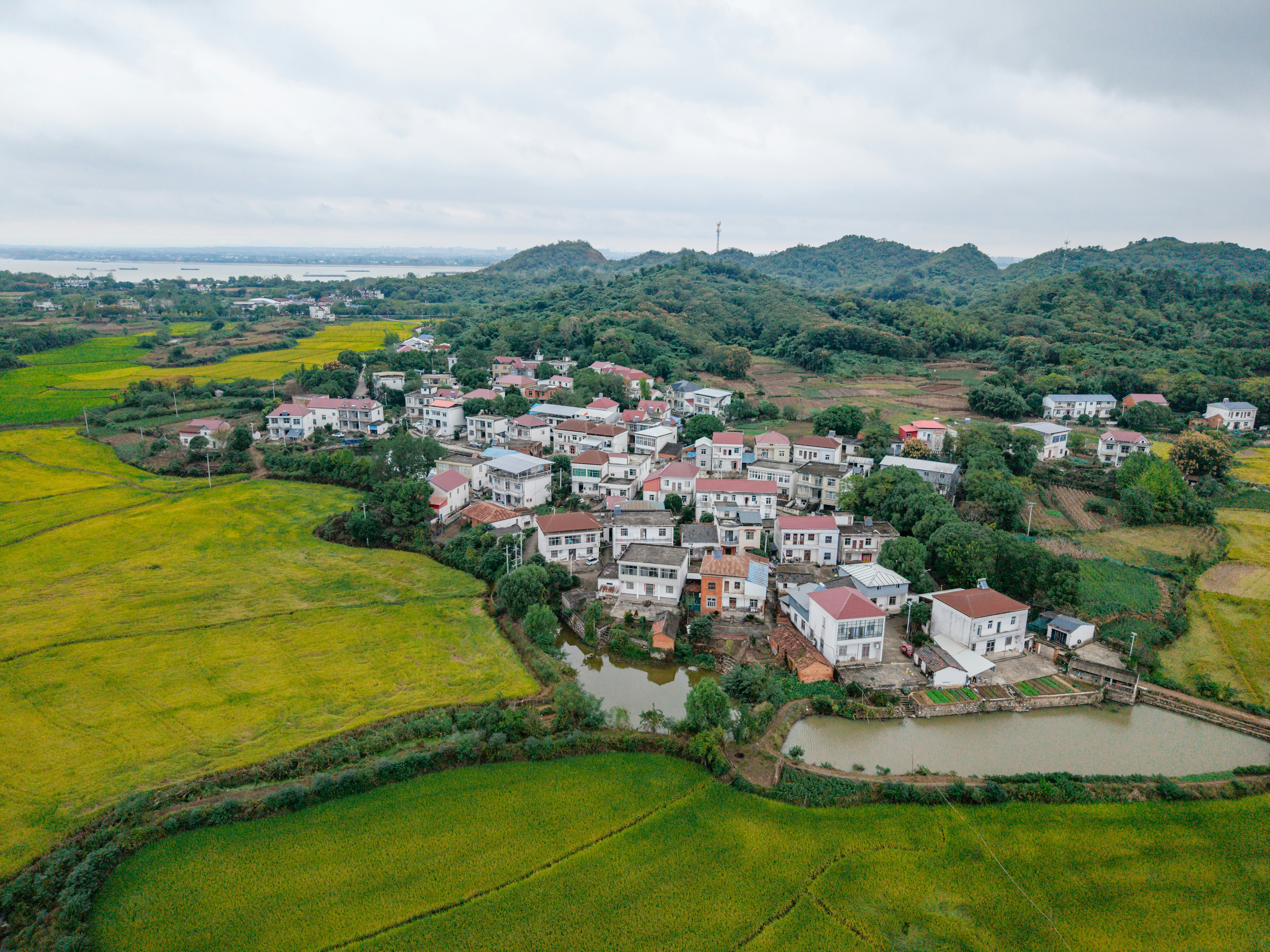 A rural coastal village cluster sits amid bright green fields and water channels, framed by gentle hills and a distant shoreline.