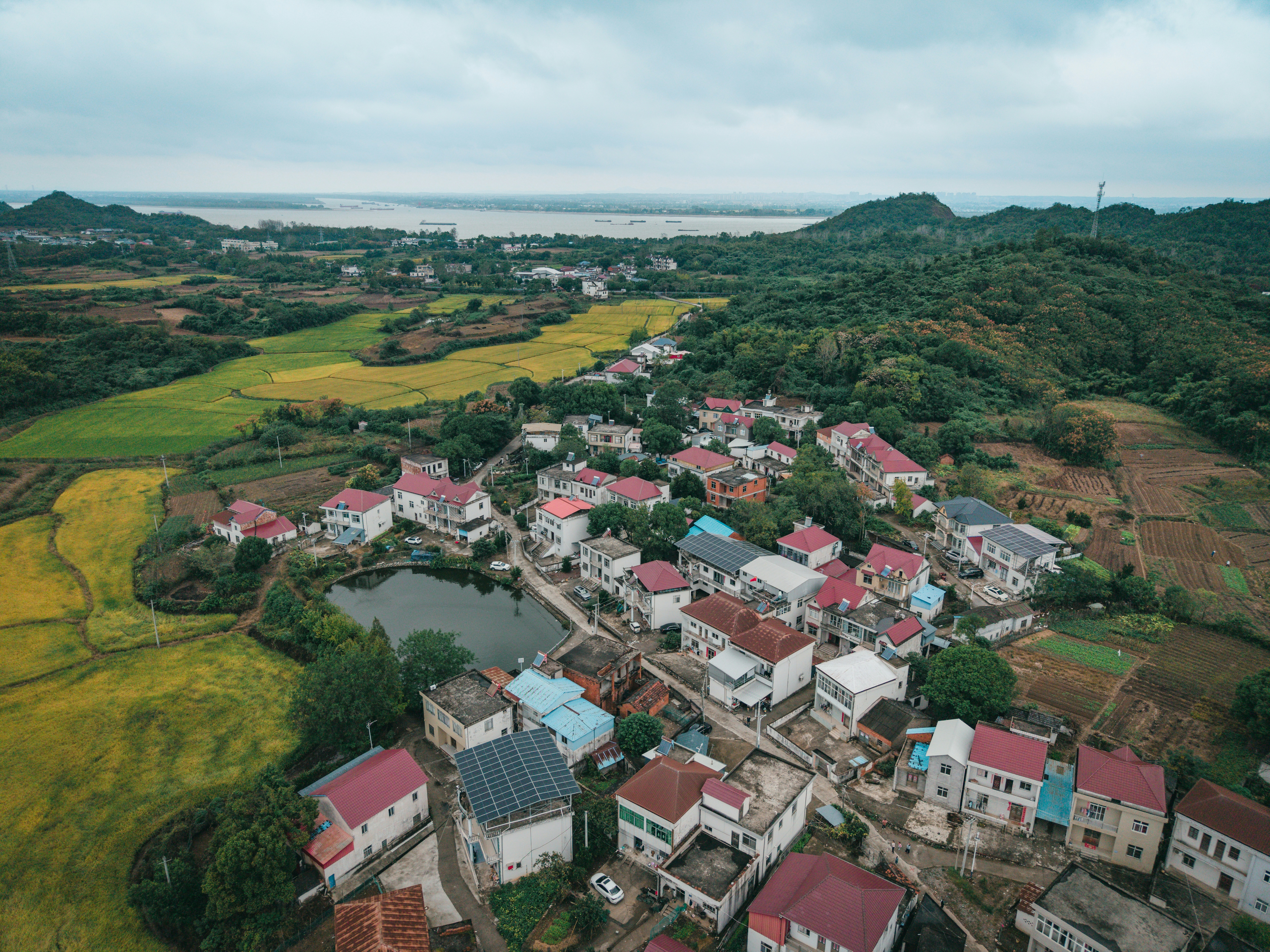 Aerial view of a hillside village stitched among golden fields by the coast