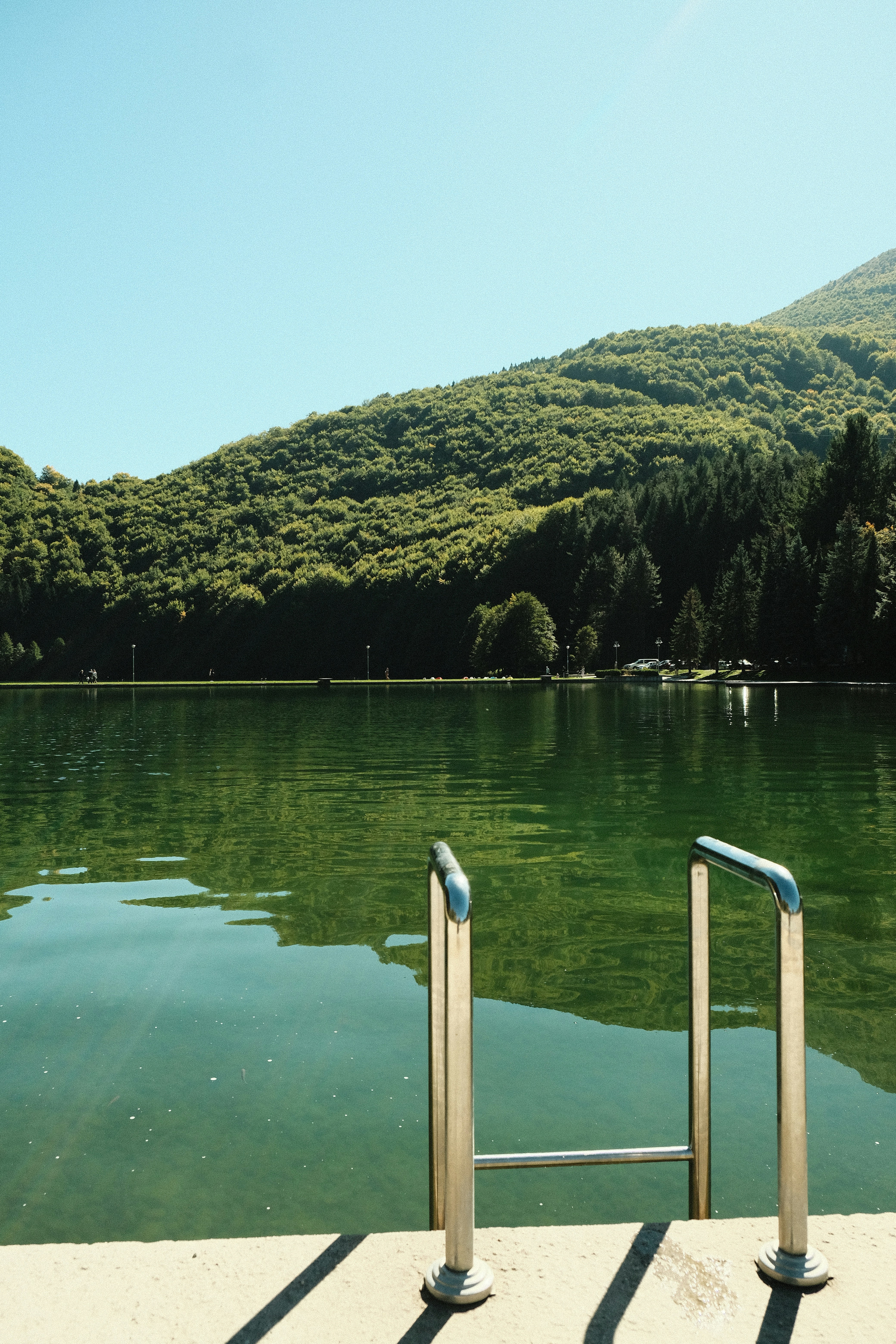 Green Mirror: A Quiet Dockside Moment by the Forested Lake