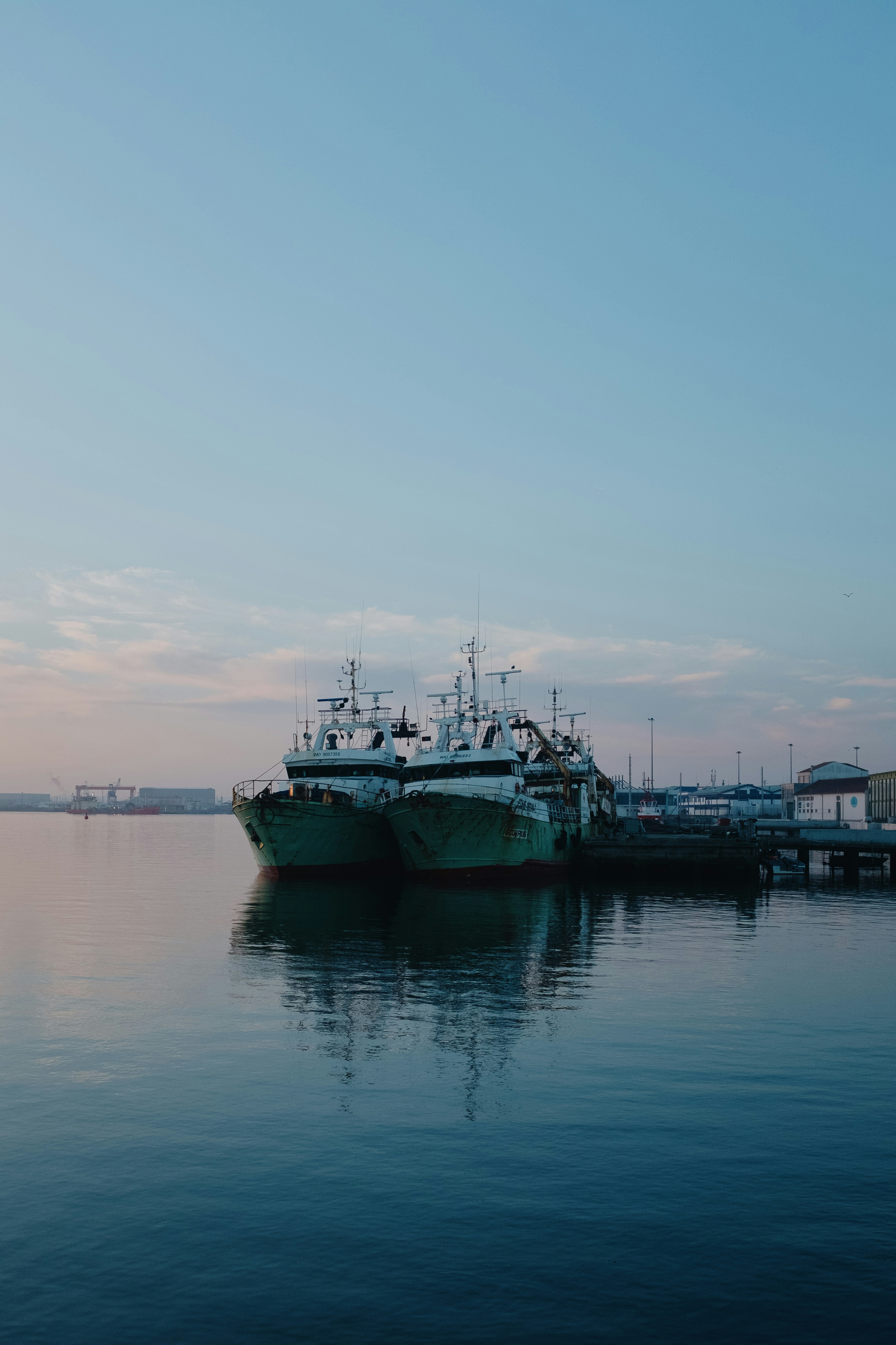 Harbor Derries: A Quiet Convergence of Boats and Water