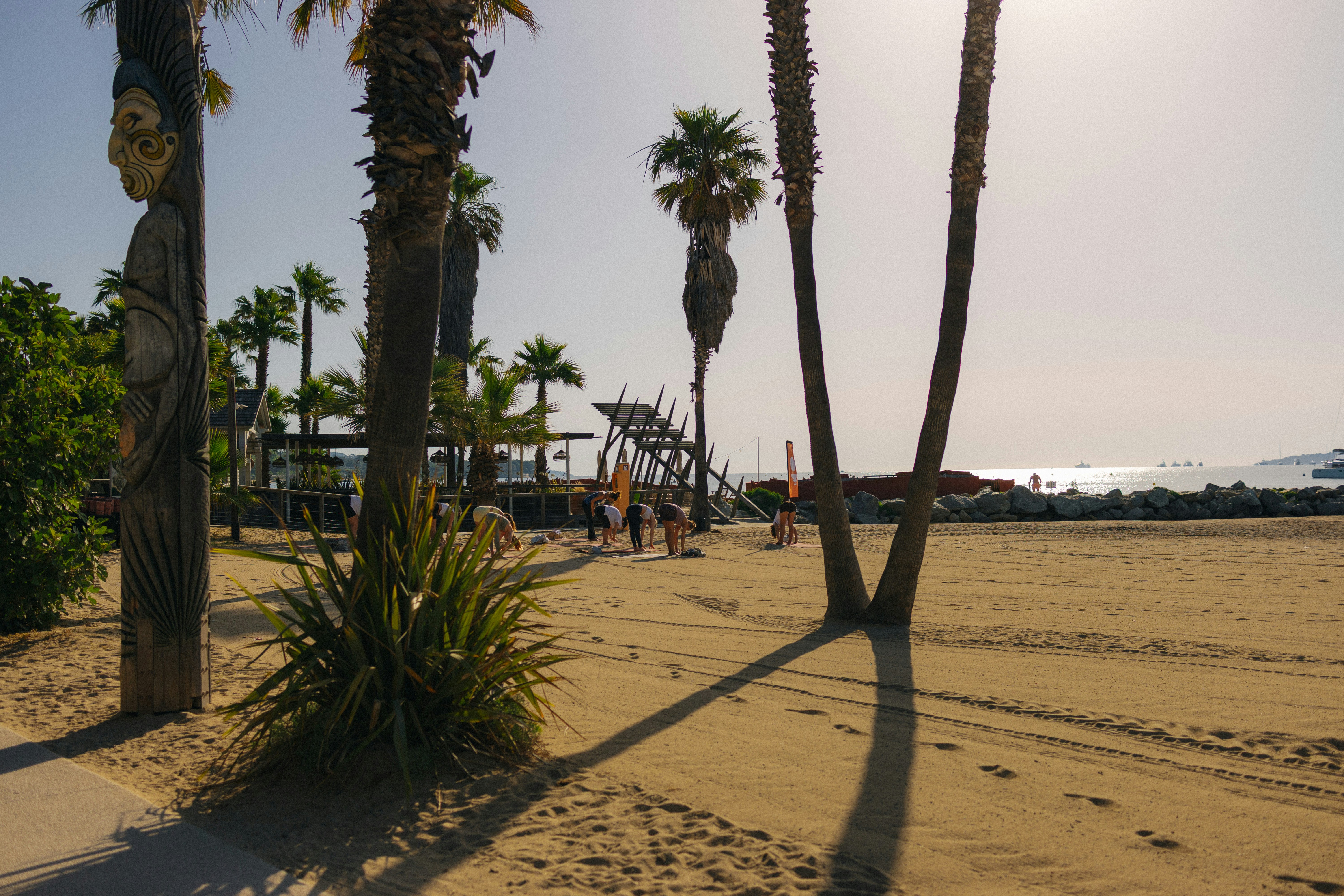 Palm Shadows on a Sunny Beach Stage