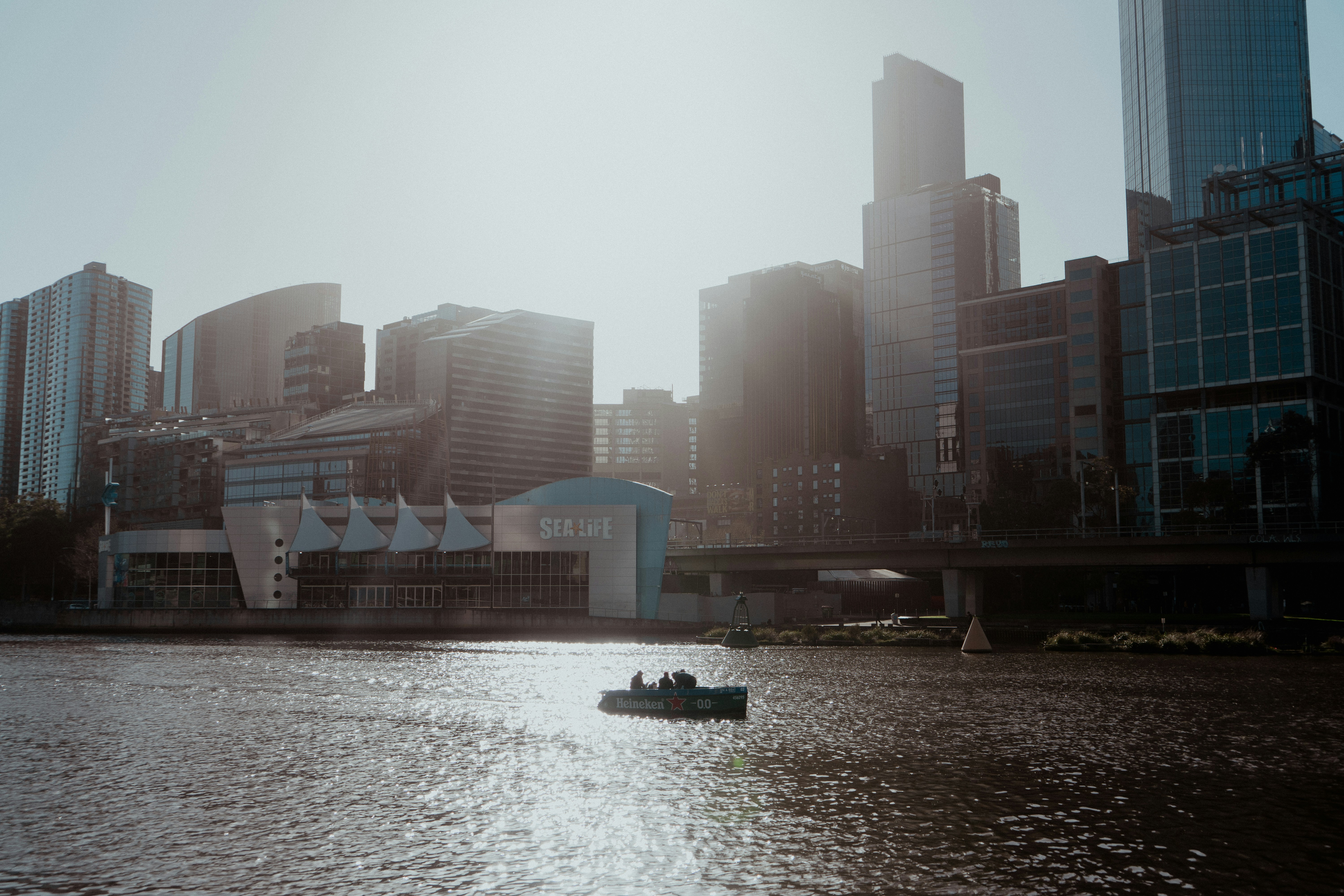 Harbor of Glass and Steel under a Quiet Morning Light