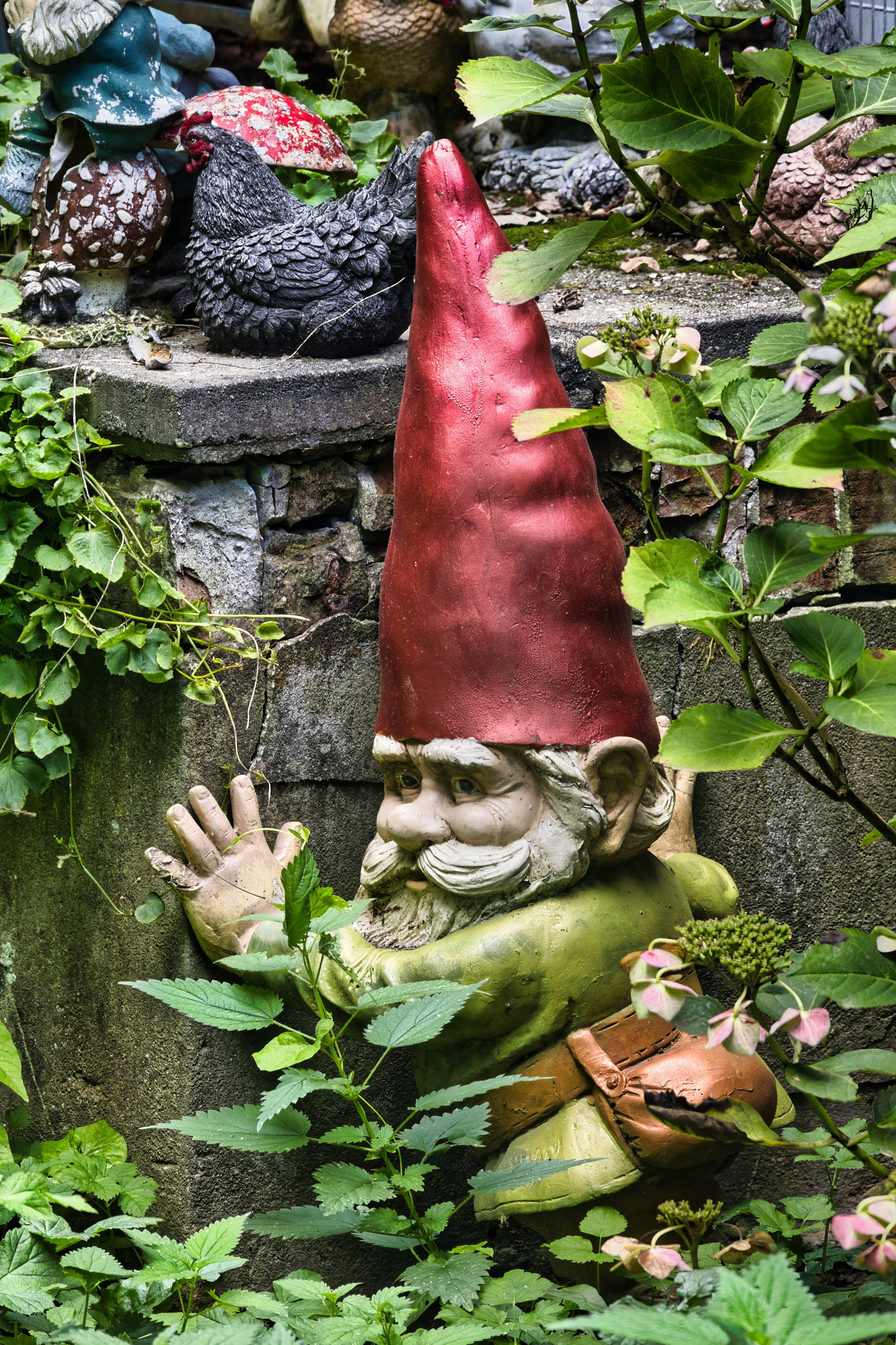 Garden Gnome at the Edge of the Hedge: Red Pointed Hat and Stone Lantern