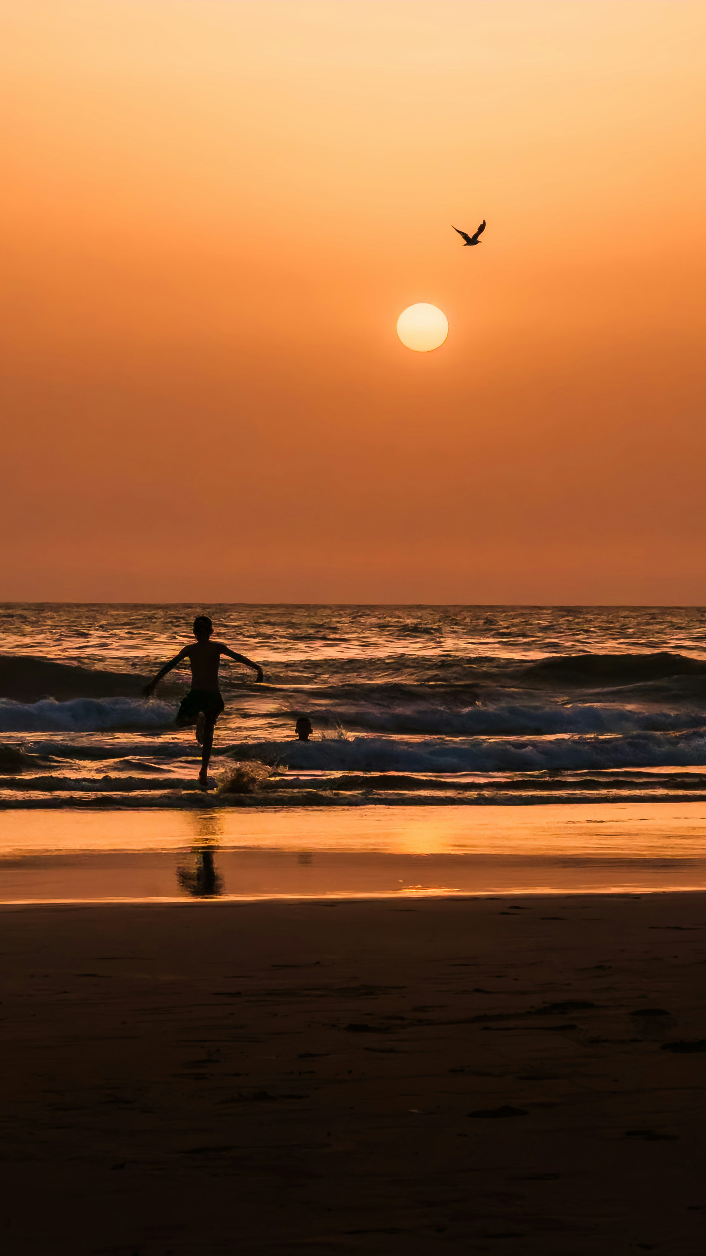 Silhouetted child running along the shore at sunset, with a lone seabird above and the sun low on the horizon over calm waves. A logo-free, natural beach scene captured in warm tones.