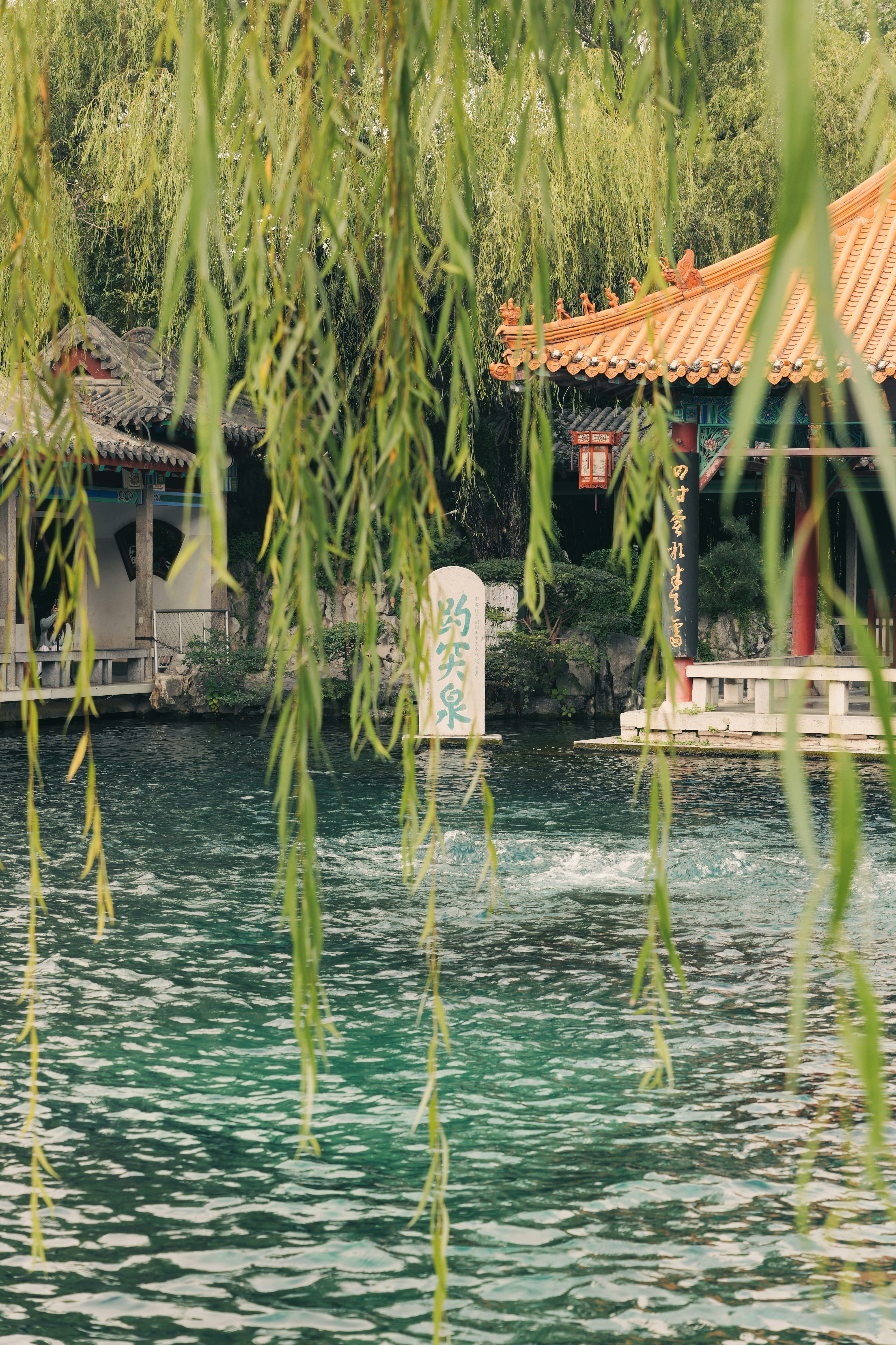 Courtyard over serene waters: a temple with hanging willows