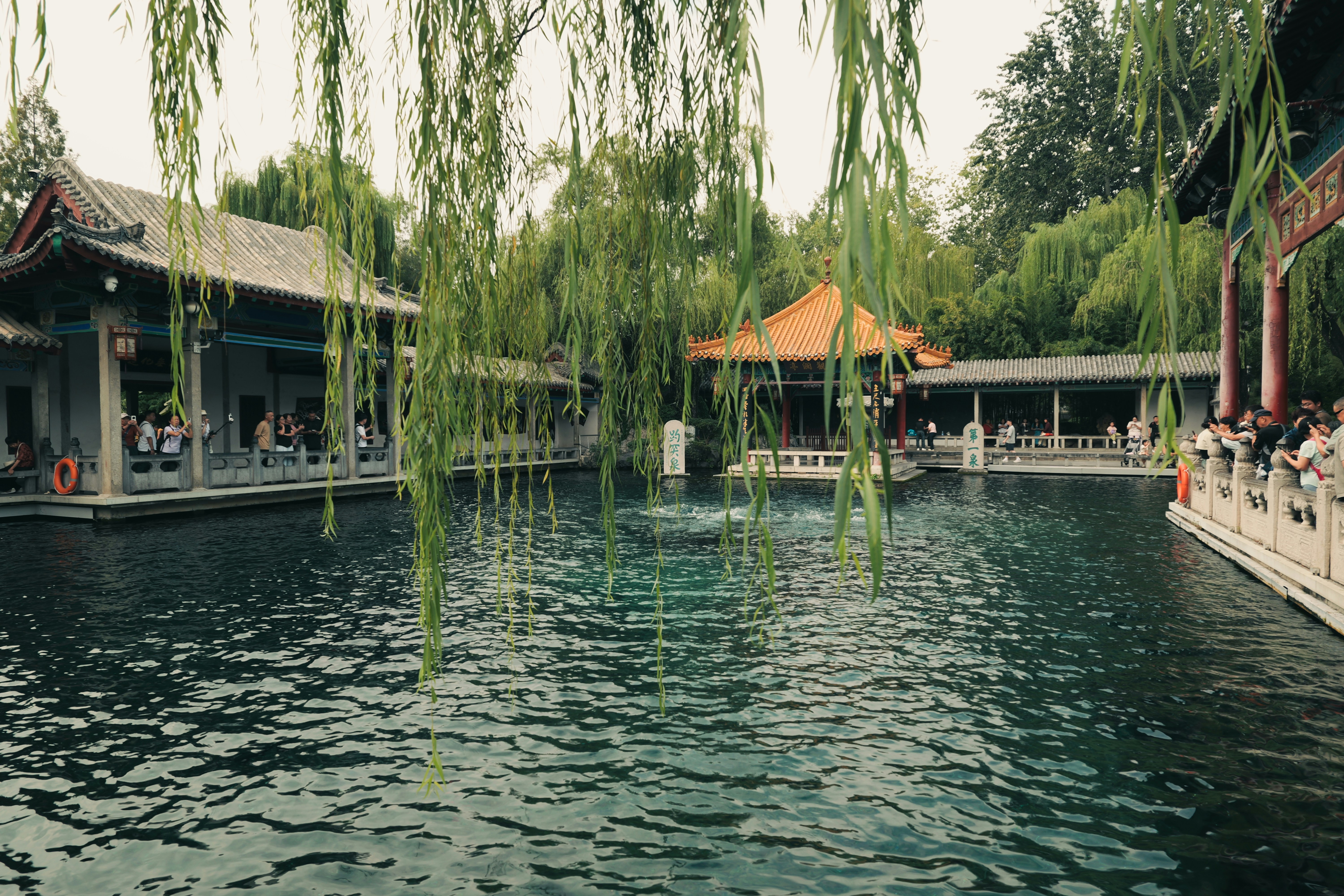 Weeping Willows Over a Courtyard Pool
