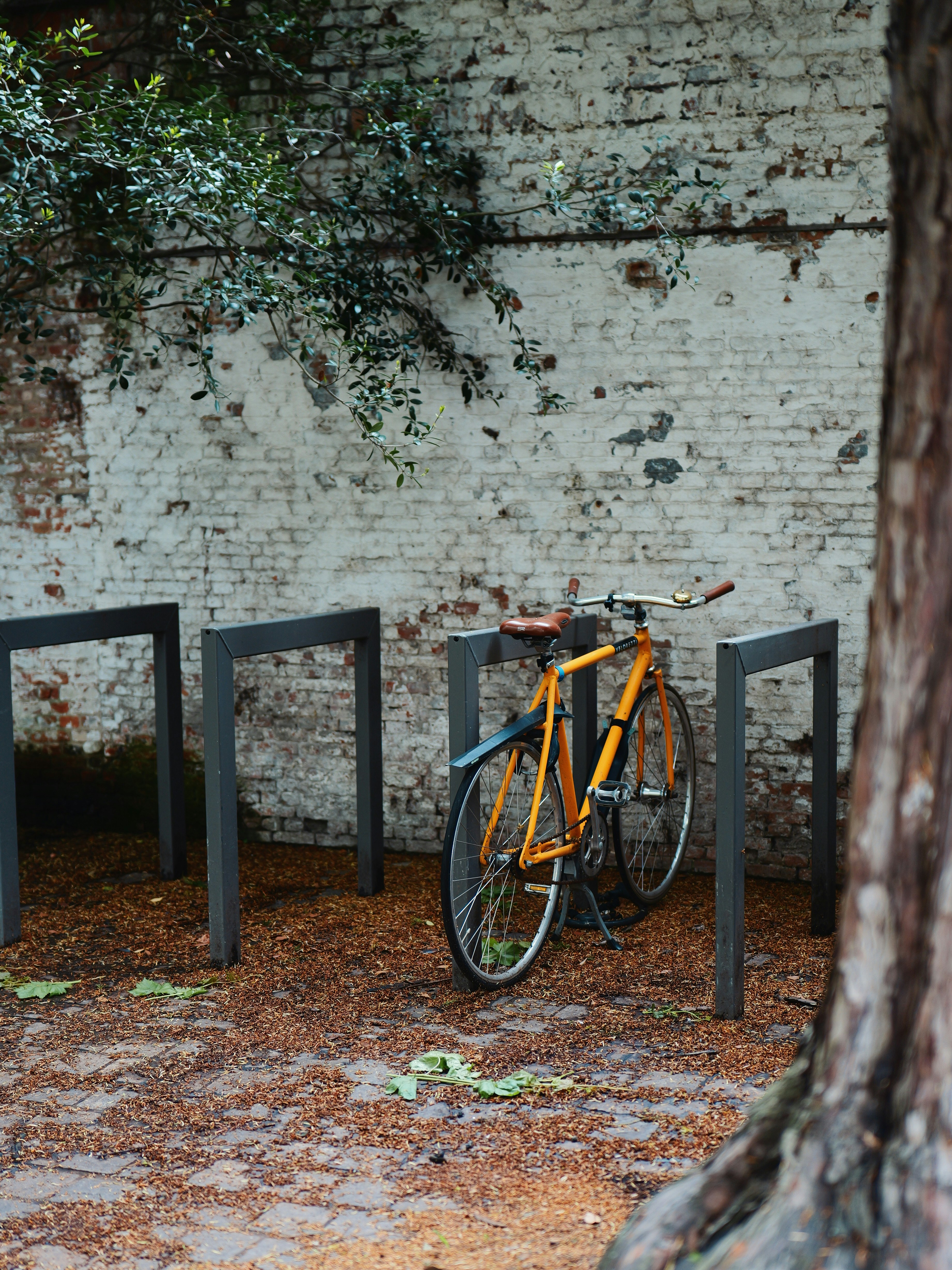 Orange Bicycle Resting Between Metal Stands by a Weathered Brick Wall