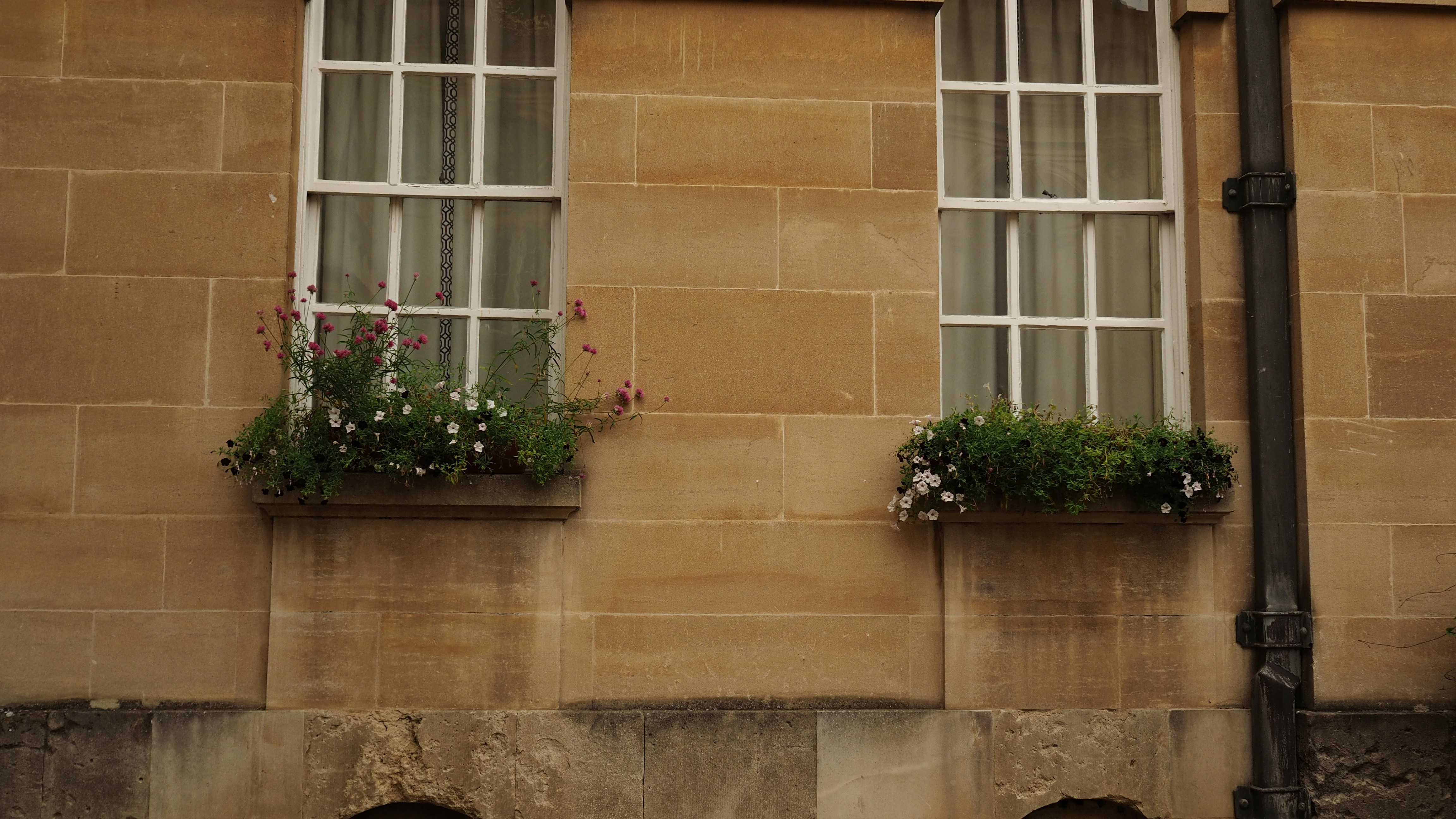 Window Boxes on Limestone Facade: Quiet Urban Symmetry