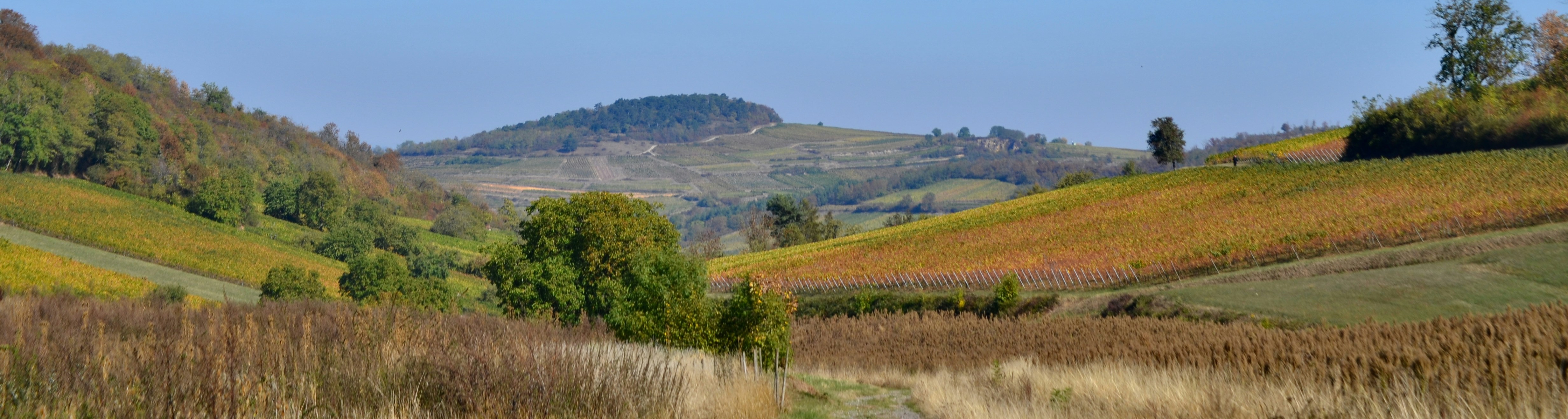 Rolling Tuscan Hills Under a Quiet Blue Sky