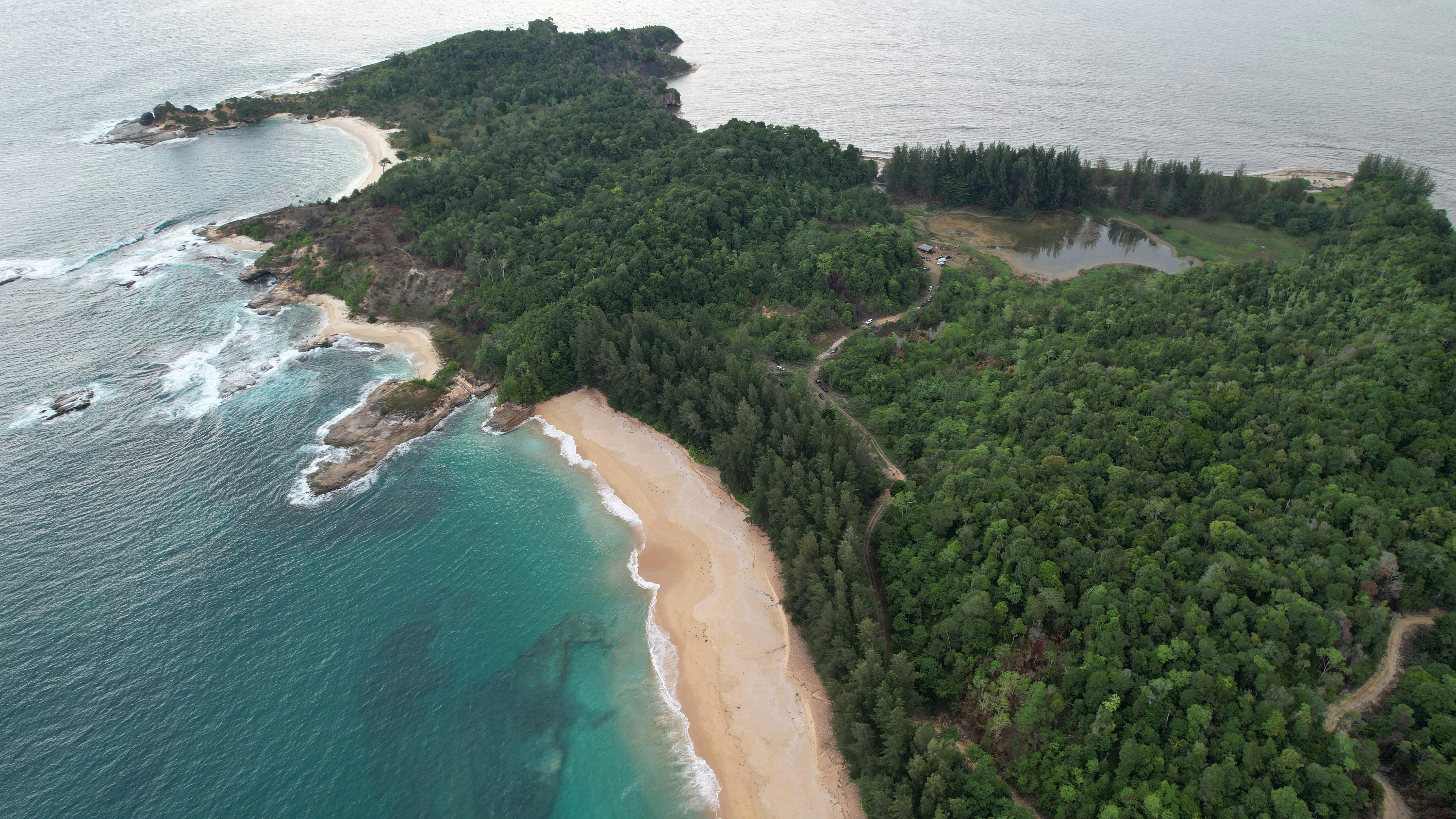 Verdant Cove: Aerial Study of Shoreline and Forest Confluence