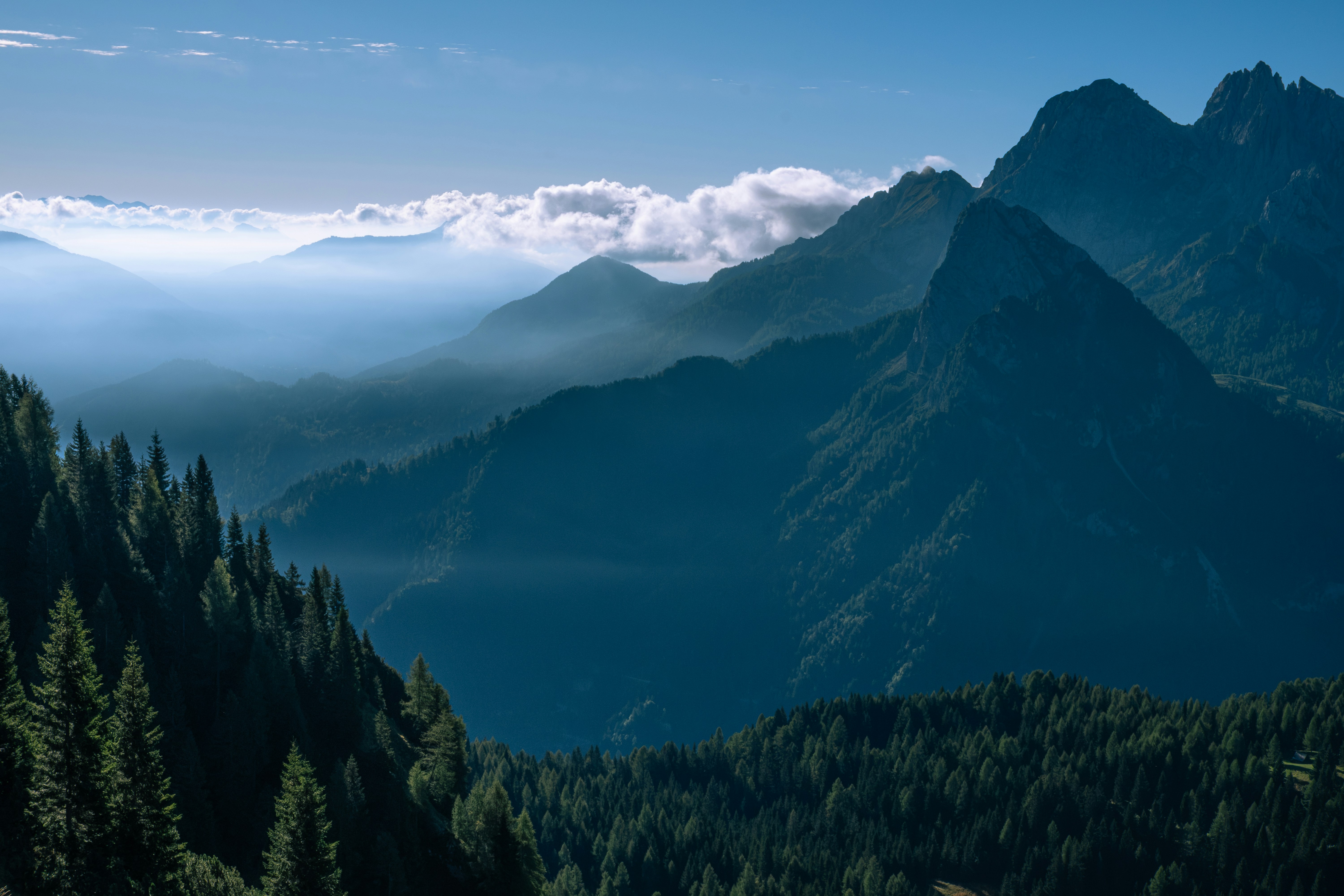 Cloud-veiled Peaks: Morning Silence Over a Pine-Carved Ridge
