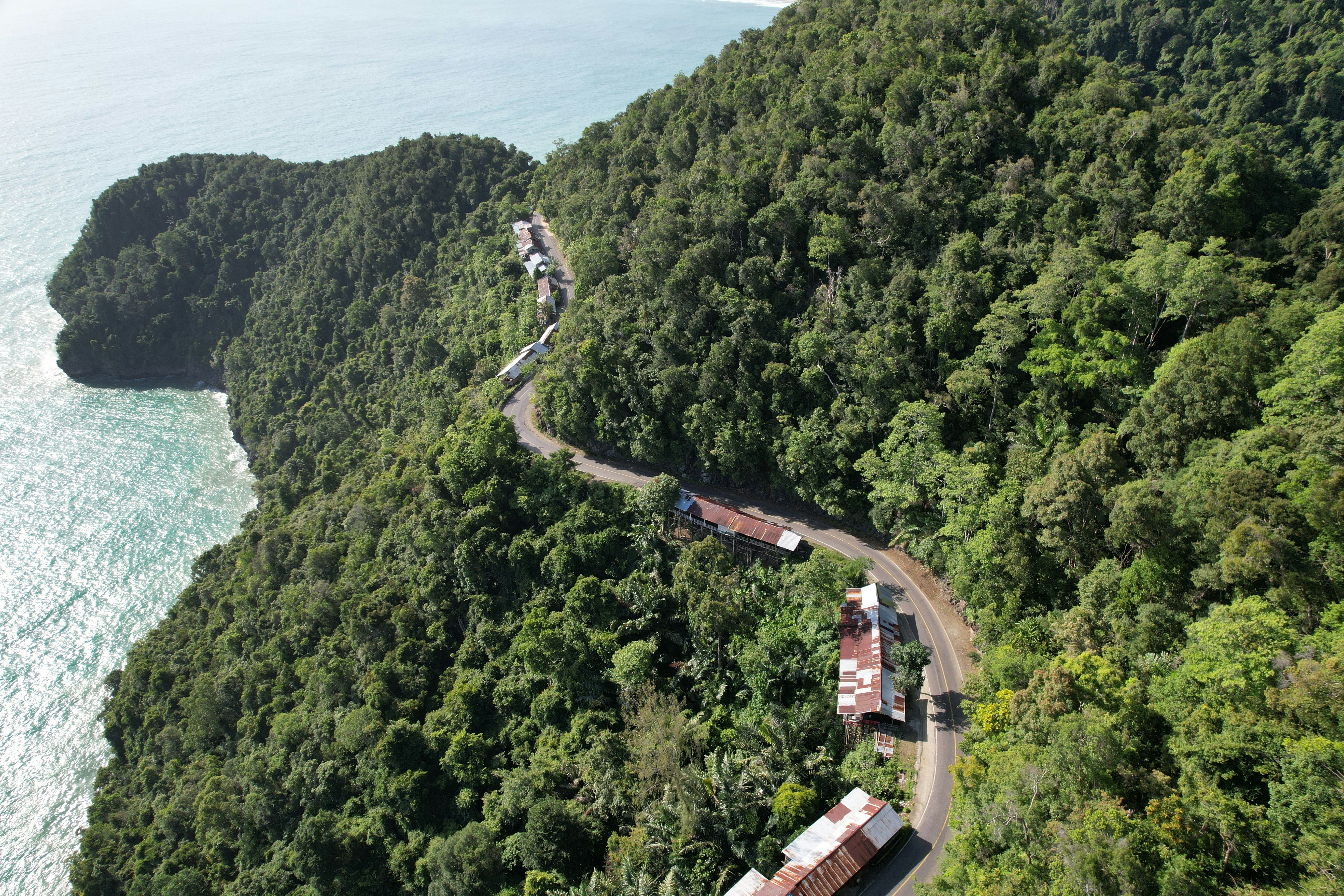 Coastal Serpentine Road: Aerial View Through Dense Green Cliffs