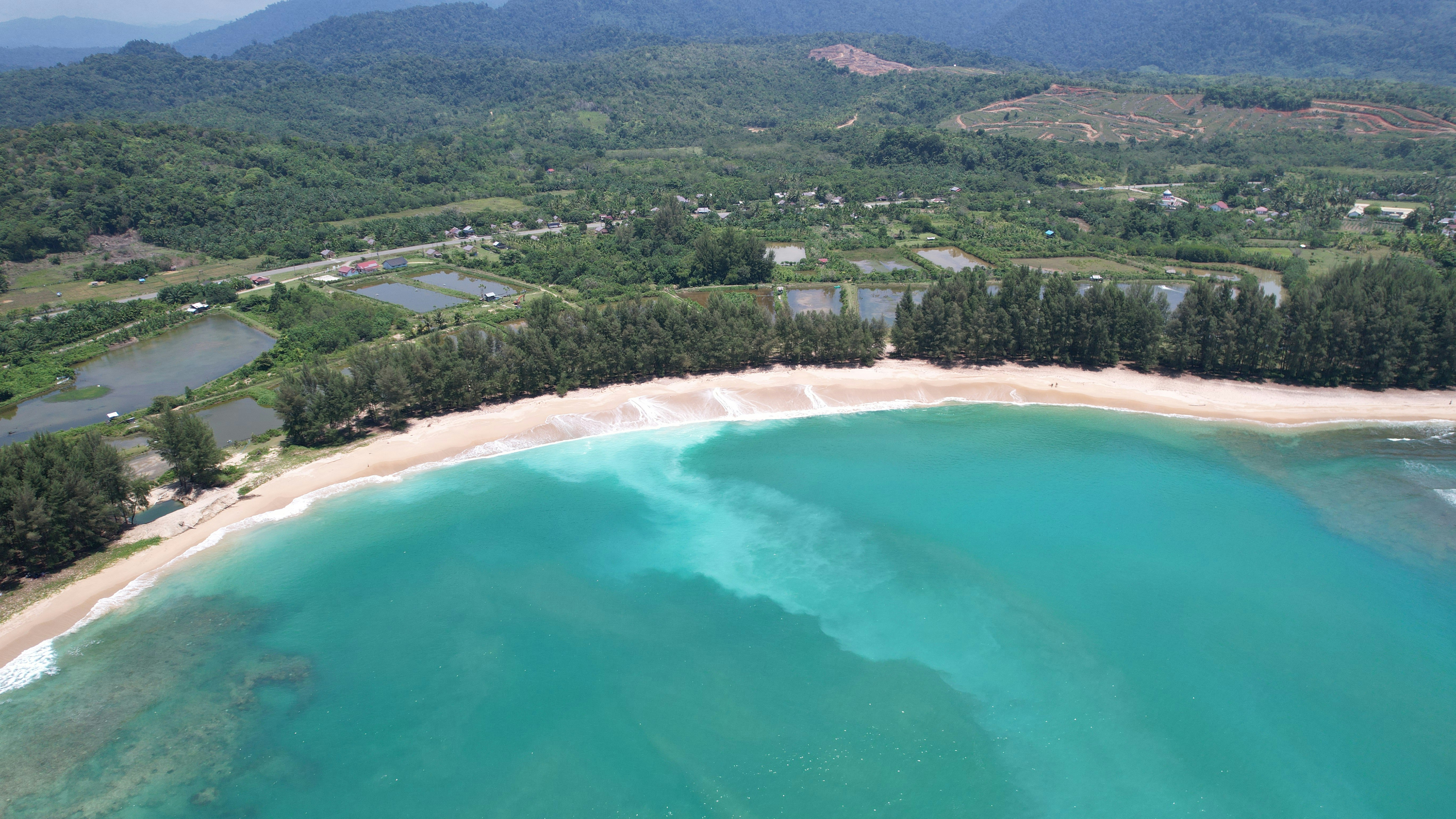 Turquoise Cove: Aerial Seaside Transition Between Beach and Forest