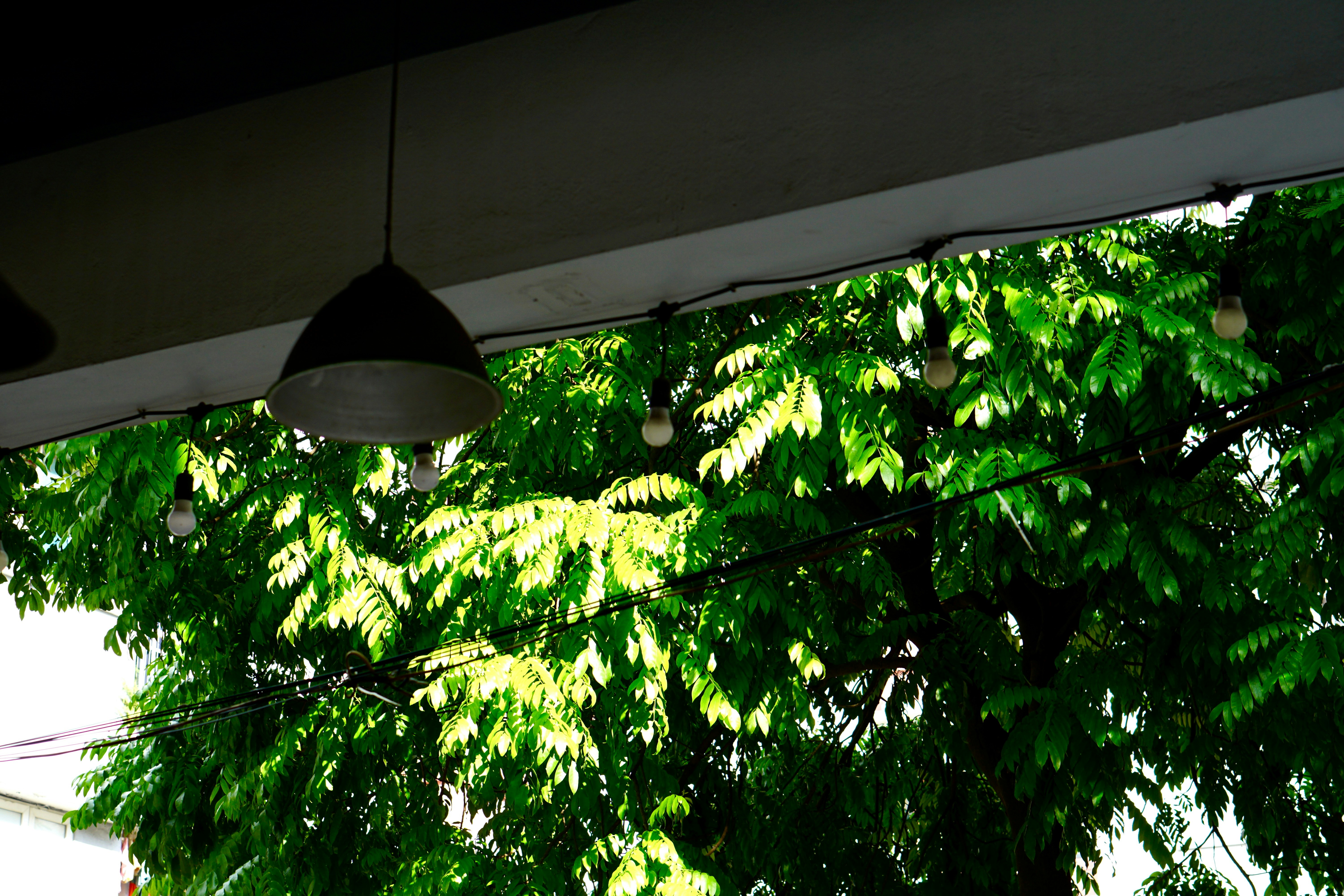 Sunlit canopy under a suspended shade, with a dark ceiling and hanging lamp