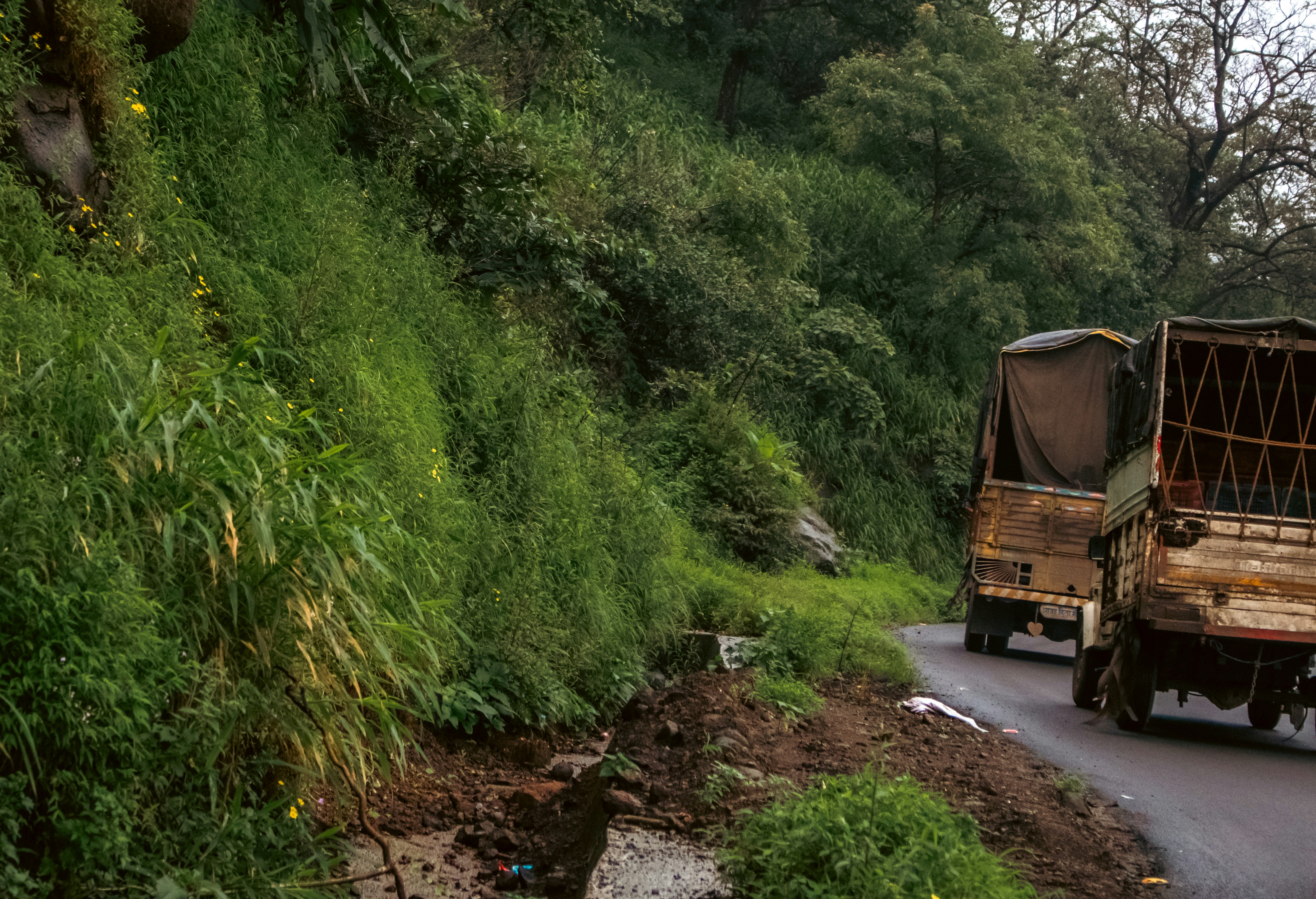 Dusty Road Relay: A Truck Trundles Past in a Lush Mountain Bend
