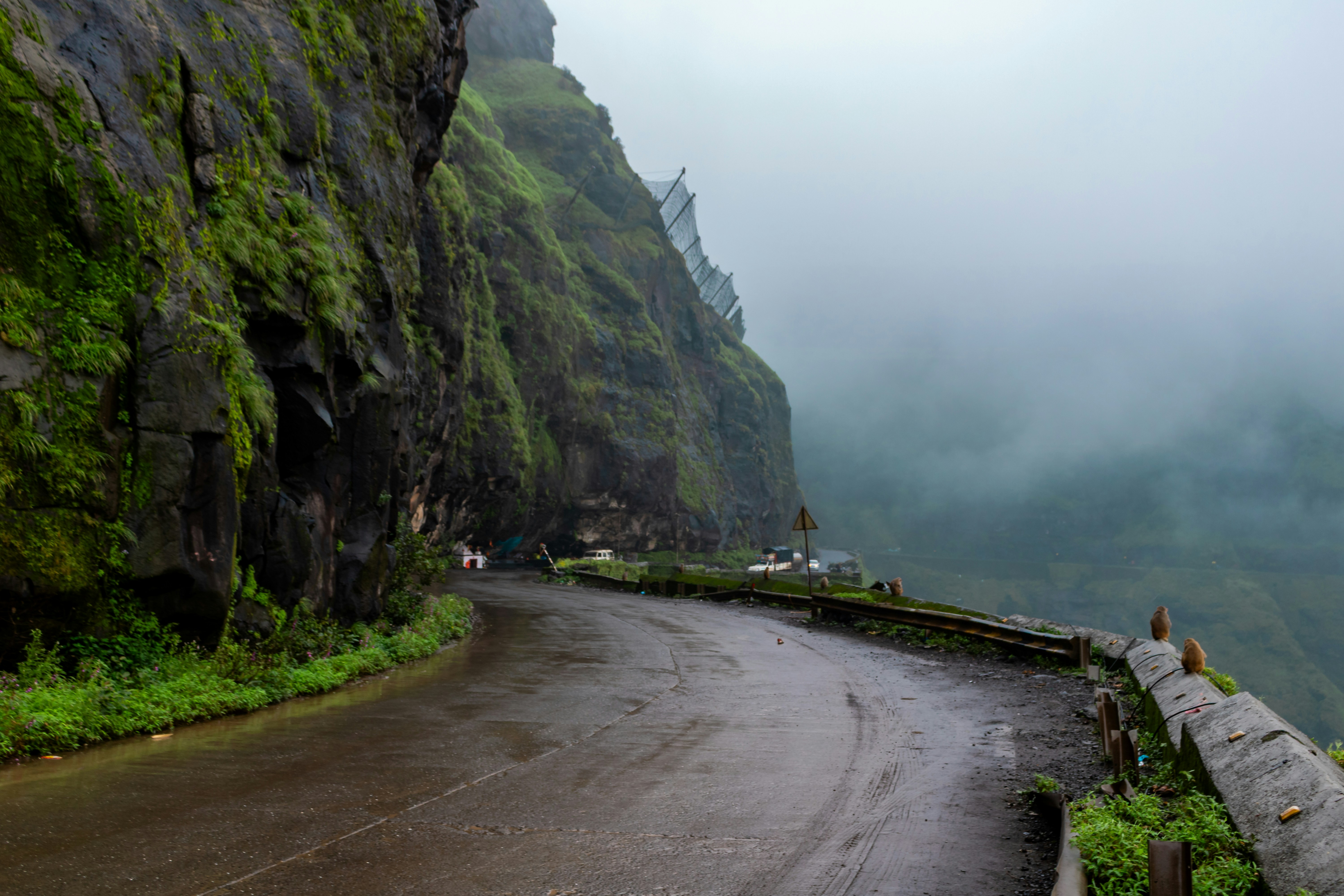 Mist-Soaked Cliffside Road: A Quiet Descent into the Valley