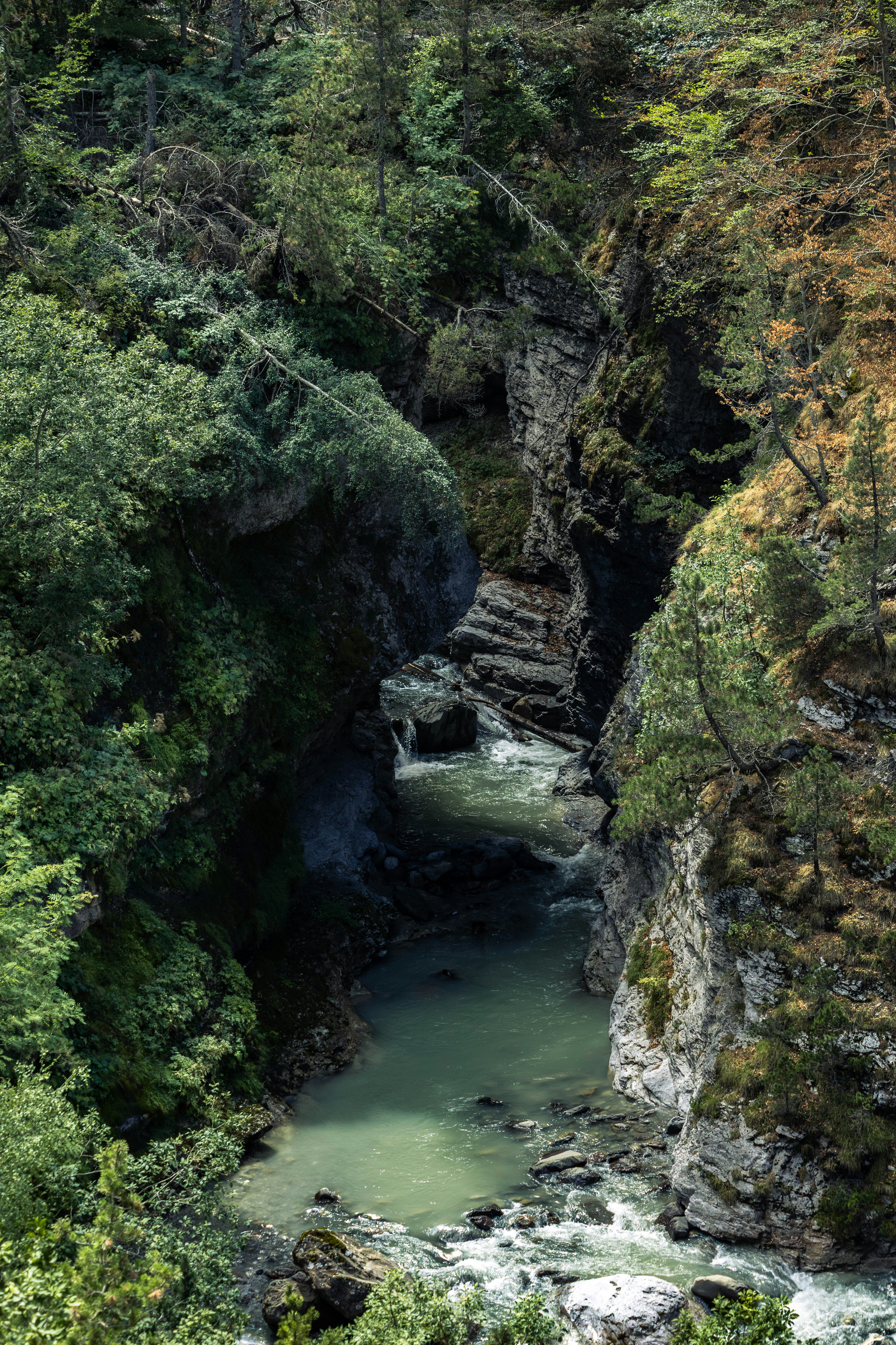 Misty river threads through a narrow rock gorge bordered by lush trees and rugged walls. The scene emphasizes the dramatic canyon with turquoise water and mossy, sunlit cliff faces.