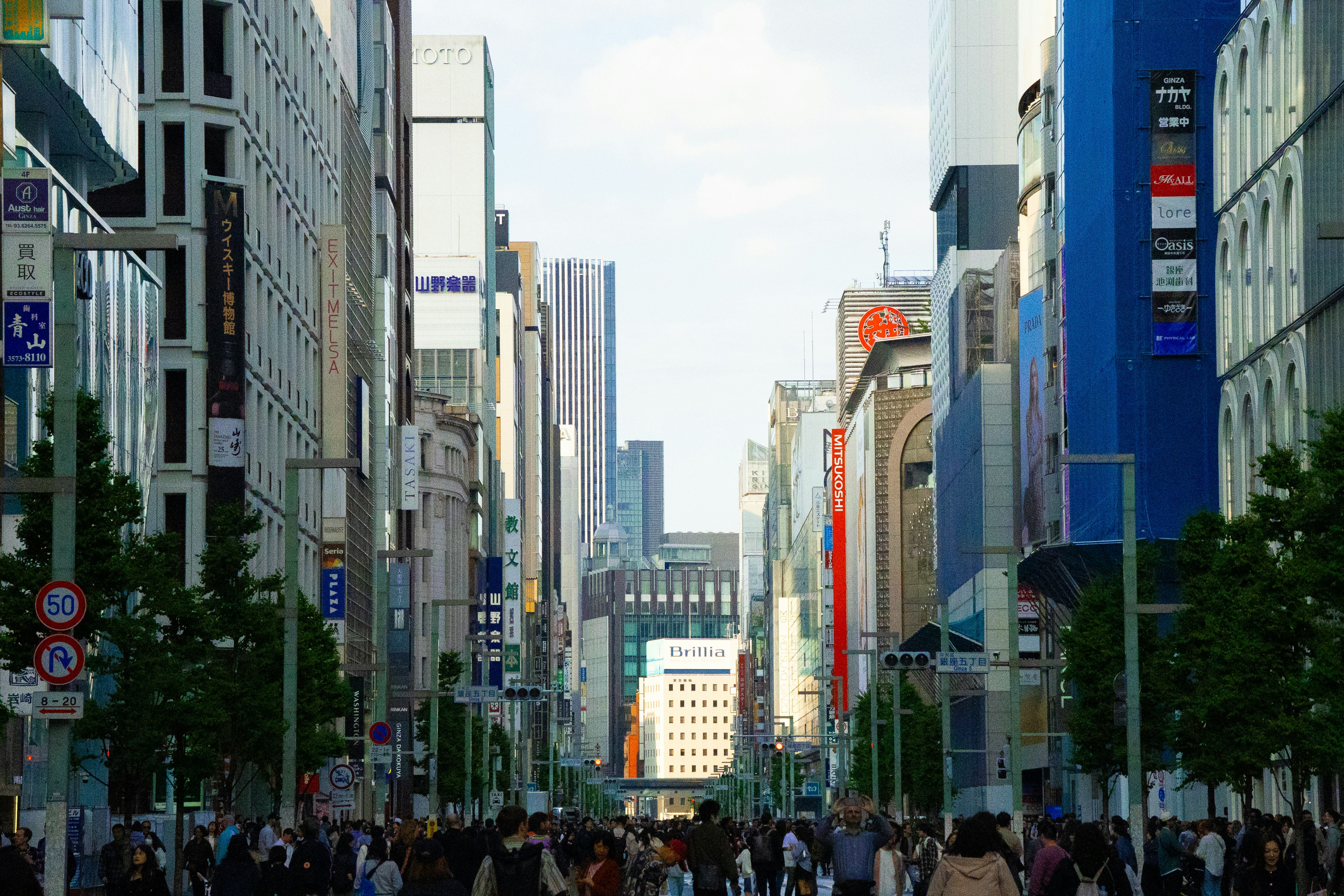 Urban Ridge: A Crowded Pulse Down a Neon-Quiet Boulevard