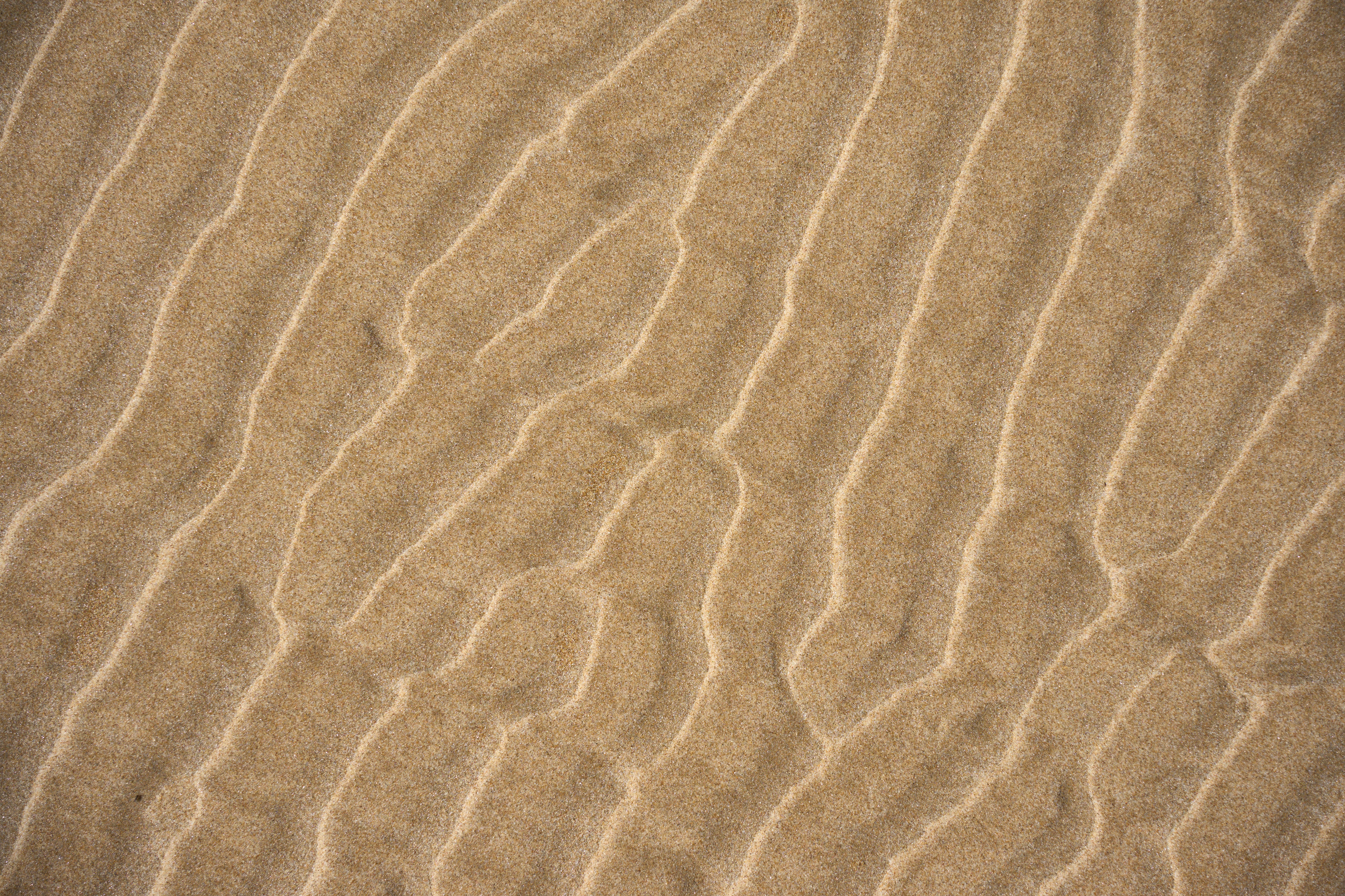 Sandripples: Quiet Geometry on a Dune Face