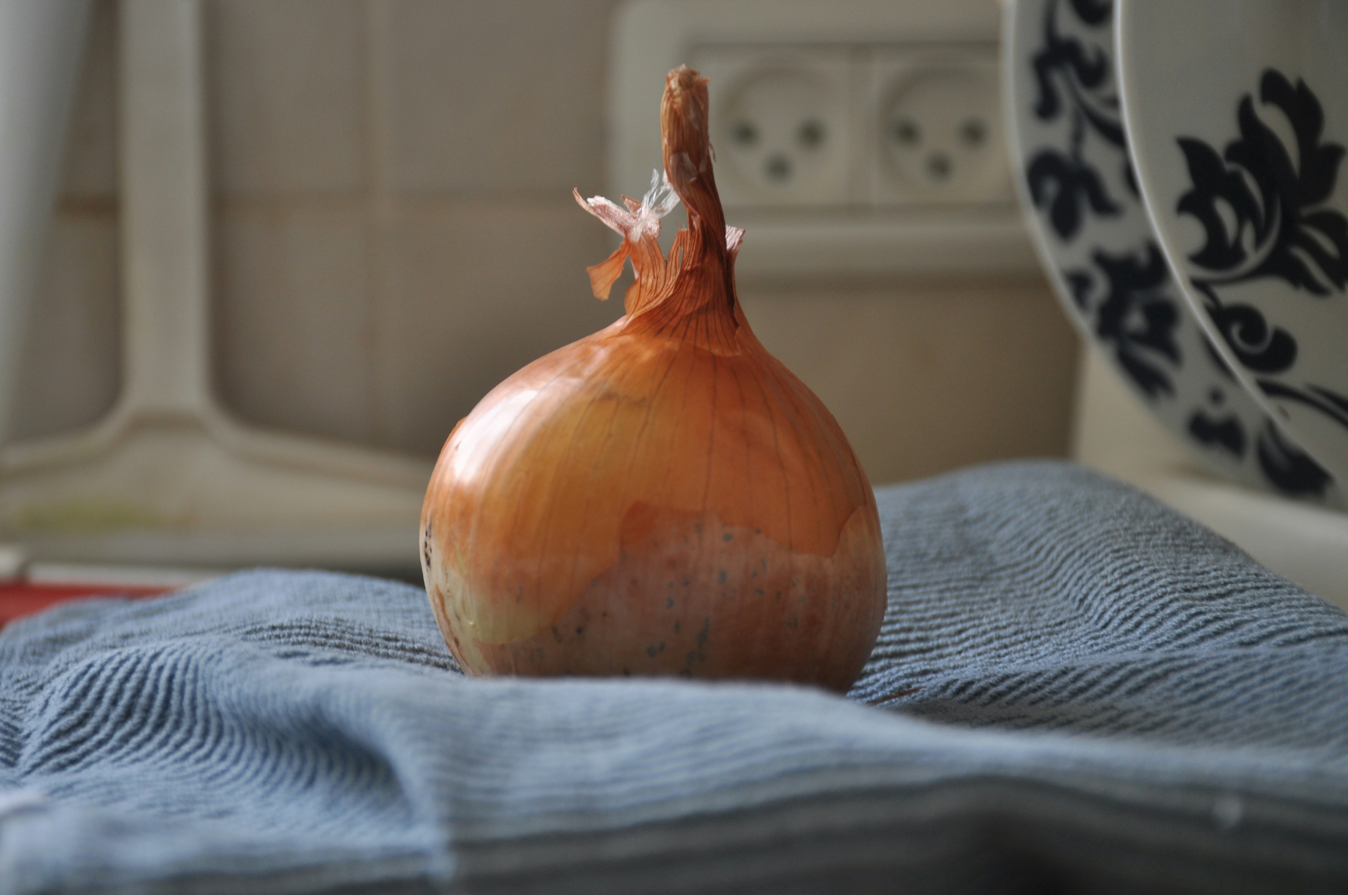 A Lone Onion Resting on a Woven Blue Cloth