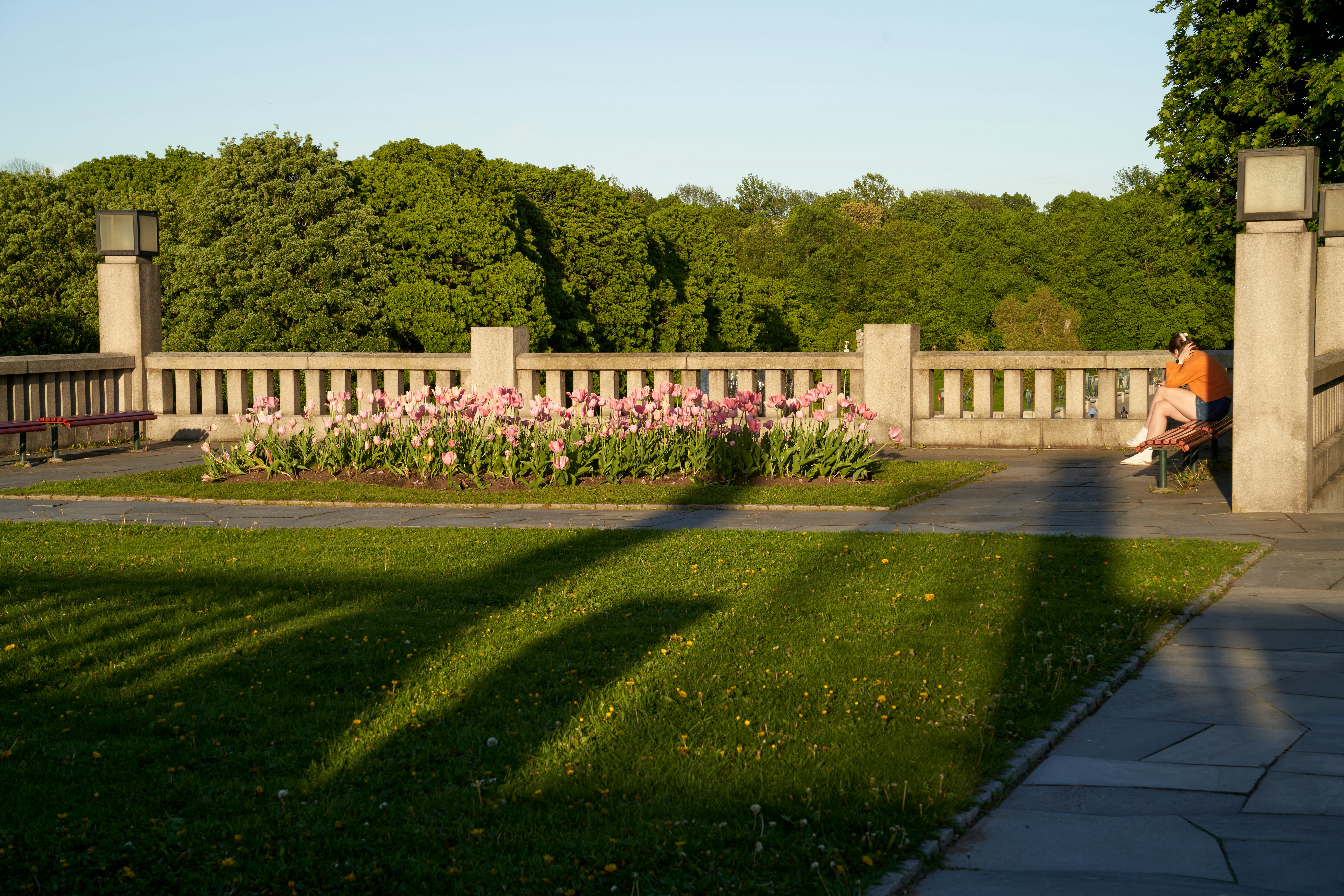 Sunlit Terrace: A Gentle Pause with a Seated Figure at the Park Edge