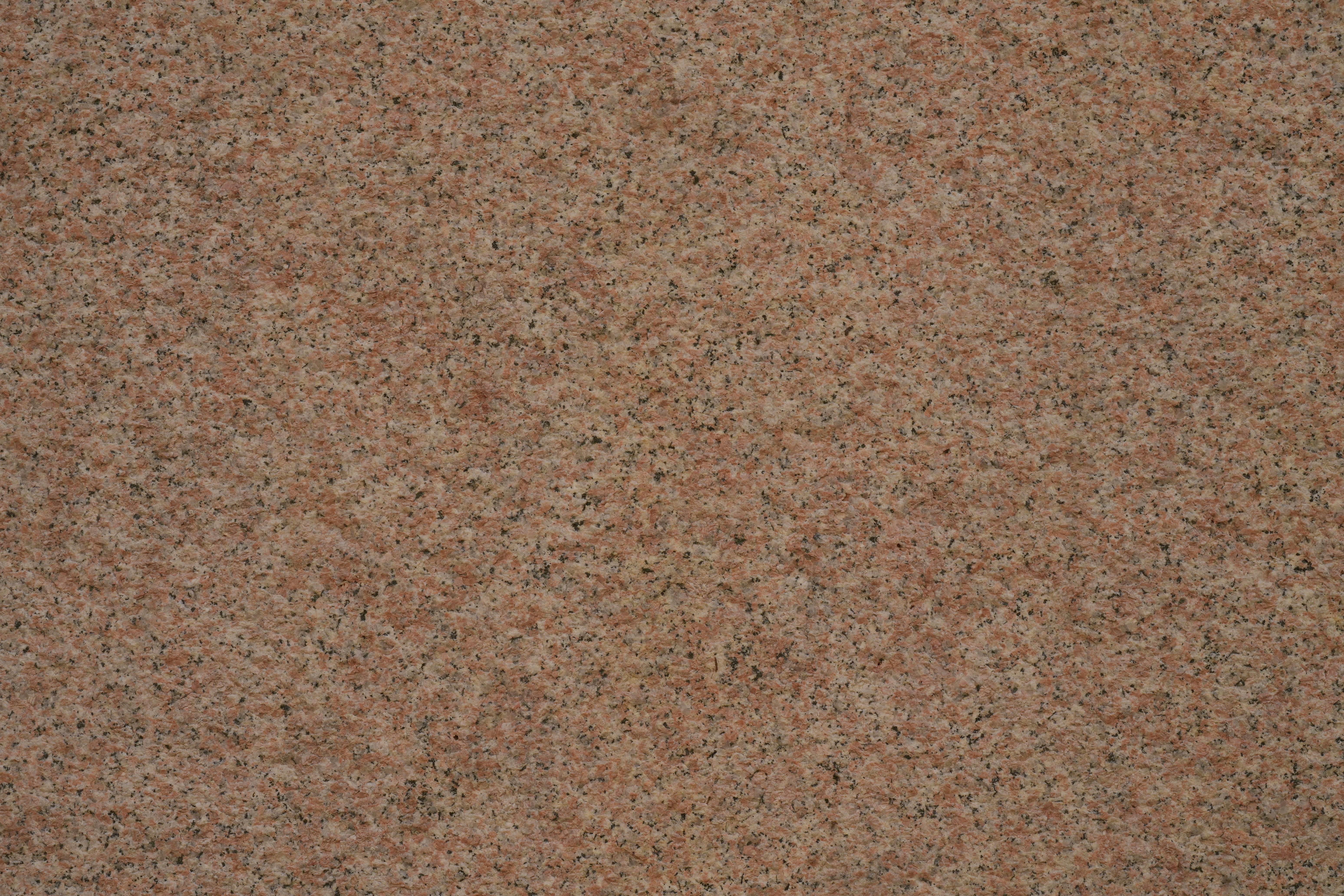 Granular Terrain: A Close-Cropped View of Sand-Granule Texture