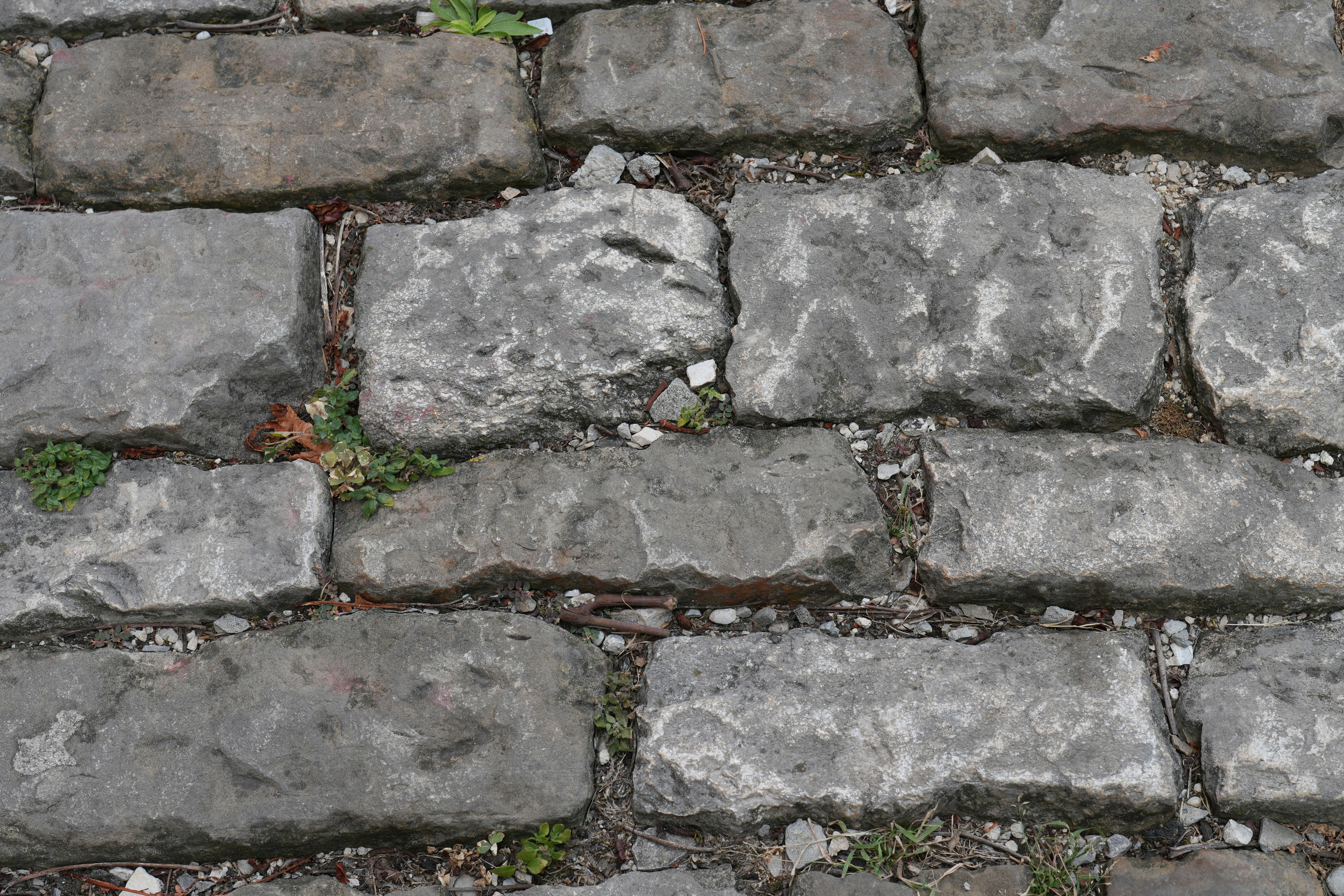 Pebble Steps: A Quiet Mosaic of Weathered Cobblestones