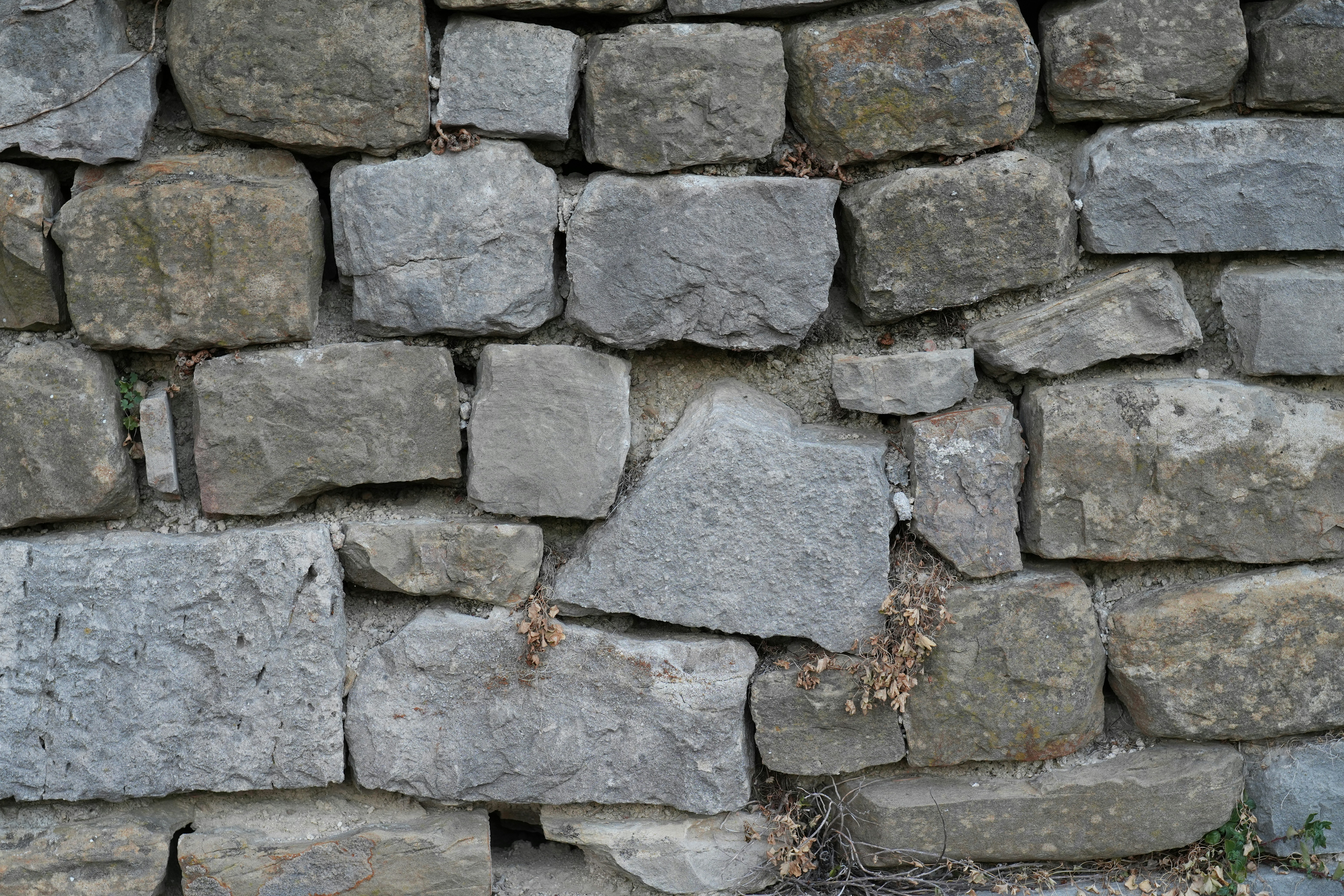 Weathered Stones: A Quiet Mosaic of a Rustic Wall
