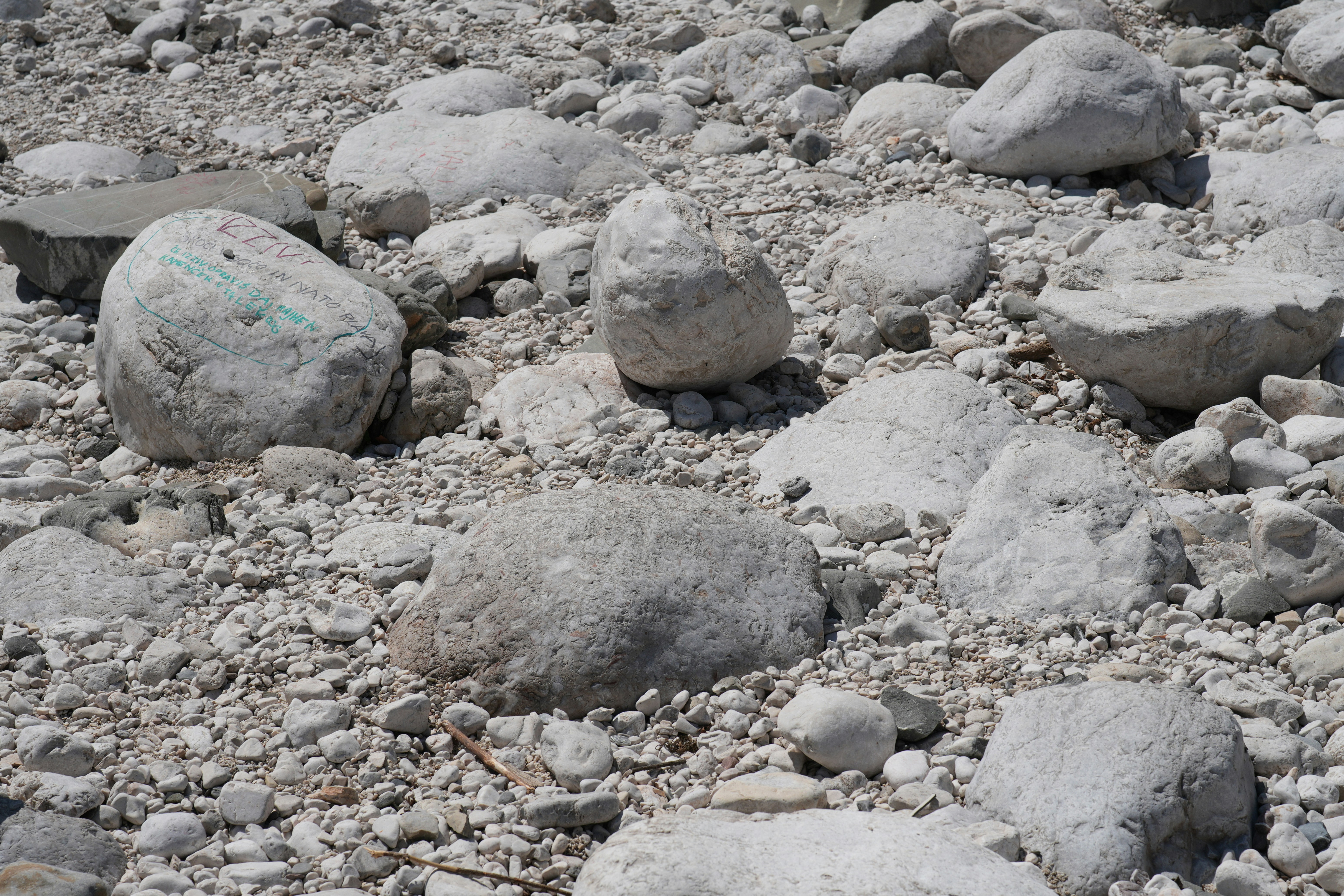 Pebble Mosaic: A Quiet Field of Stones on Sunlit Ground