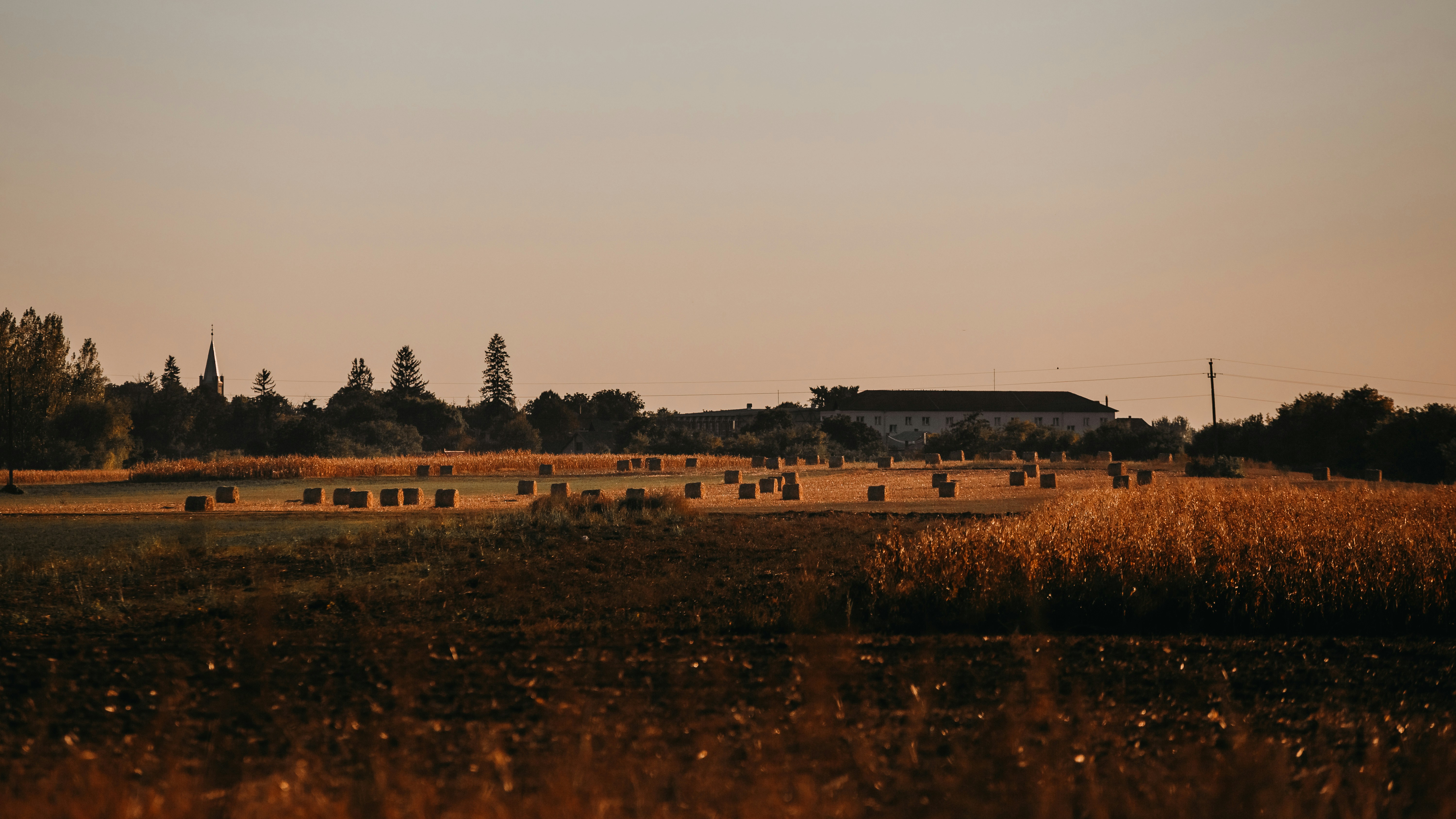 Golden Field at Dusk: Hay Bales and Silhouetted Horizon