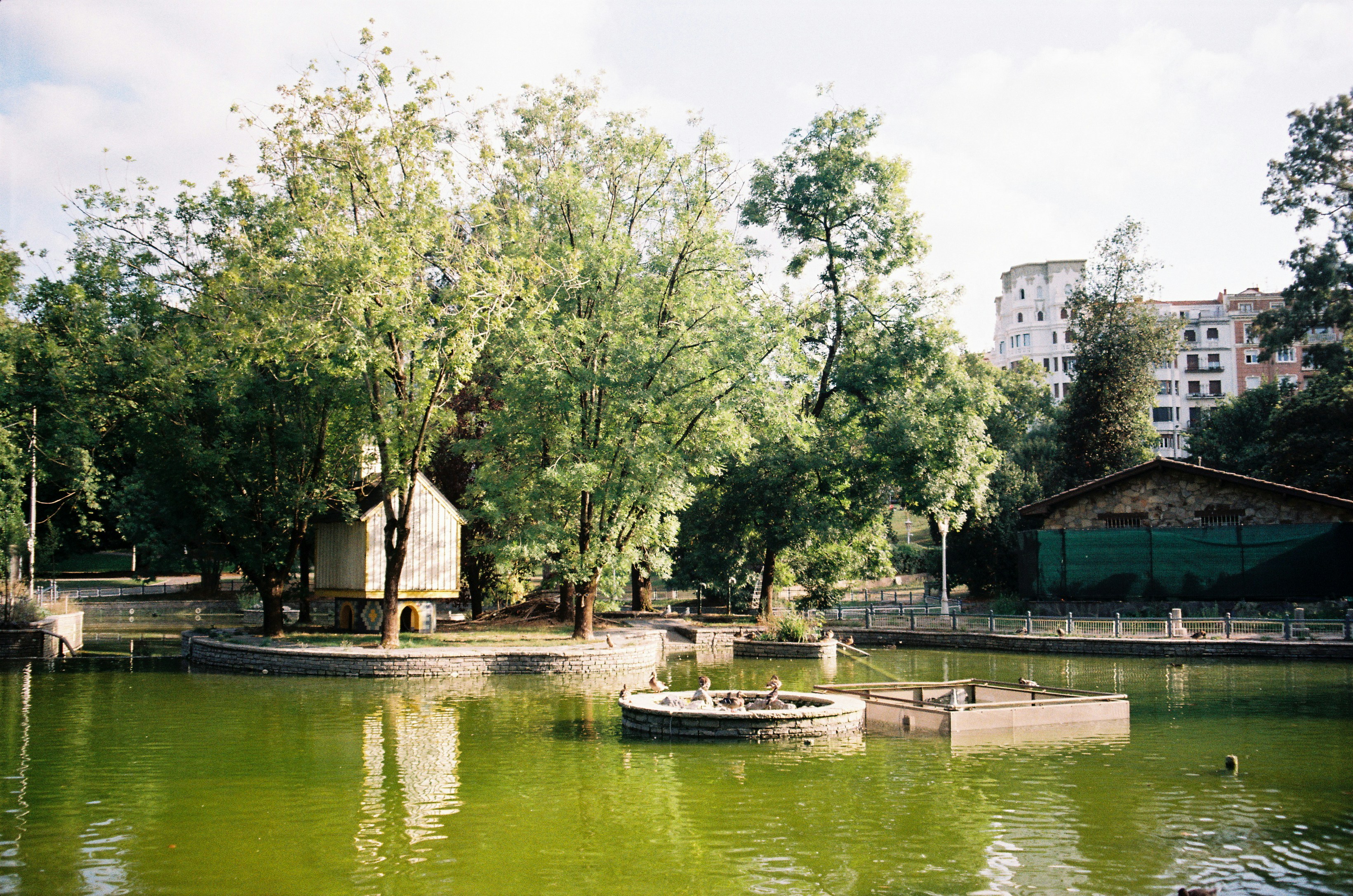 Kodak Gold 200