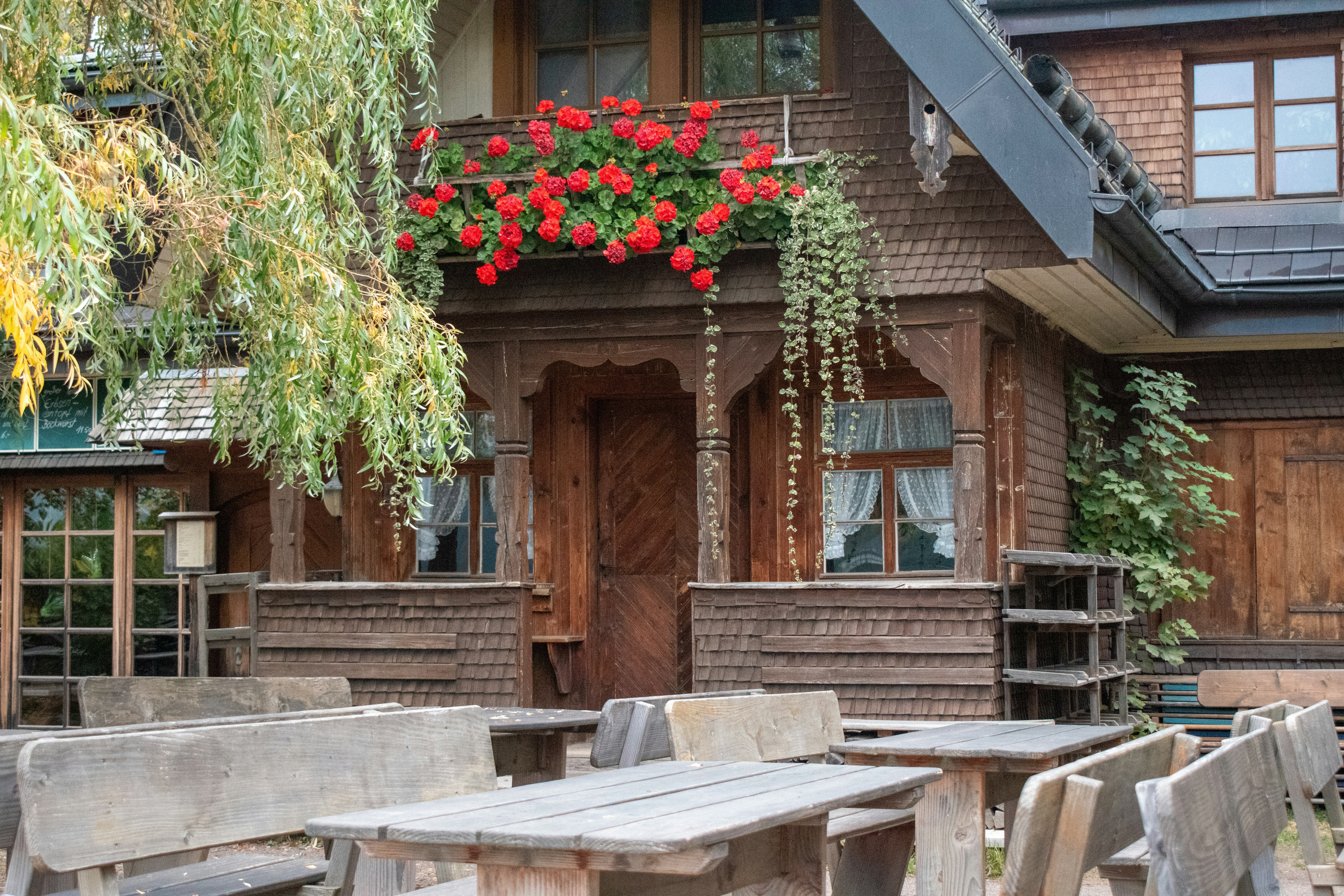 Rustic Chalet Facade Framed by Crimson Blooms and Weathered Wood