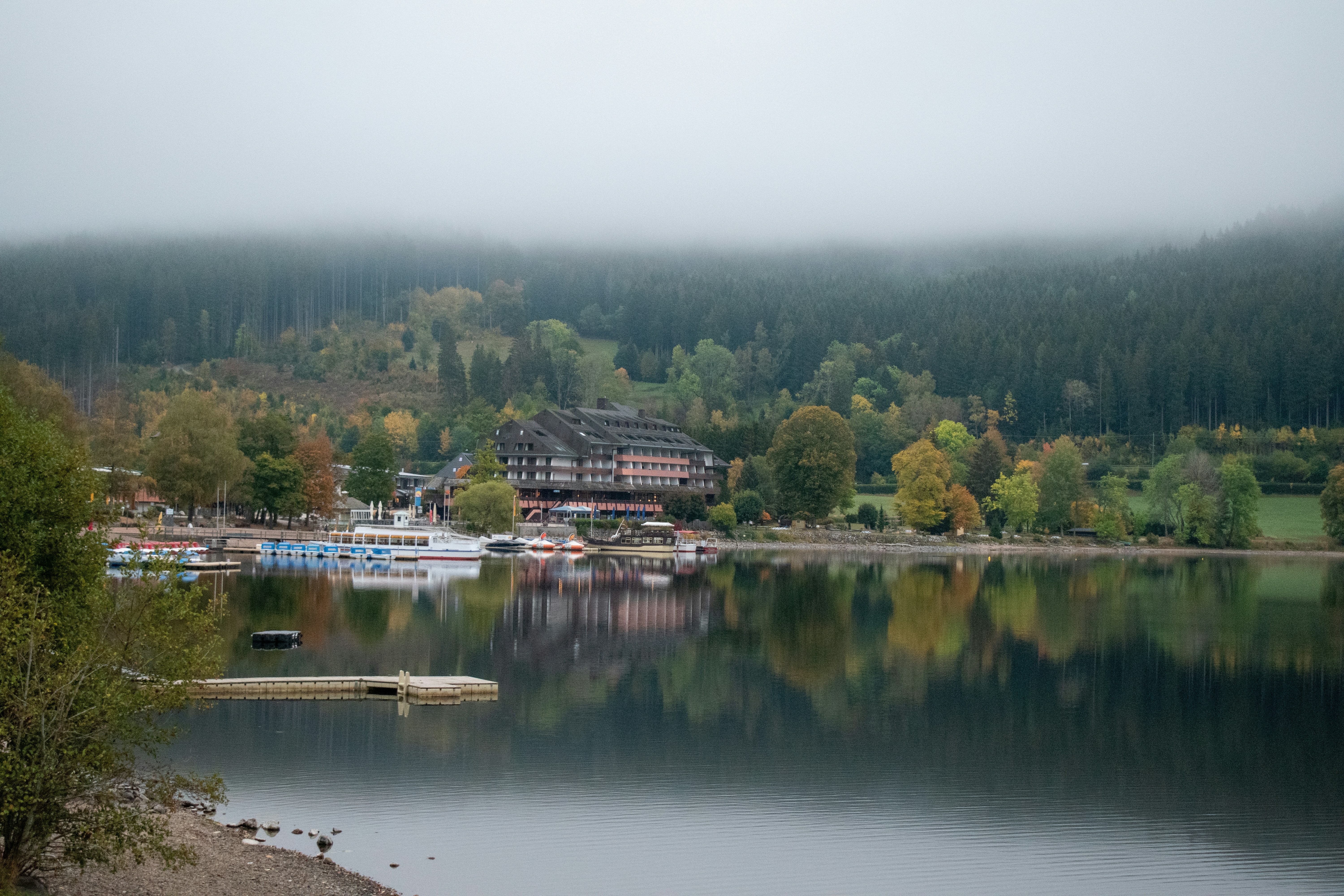 Misty lakeside lodge beneath a quiet forest canopy