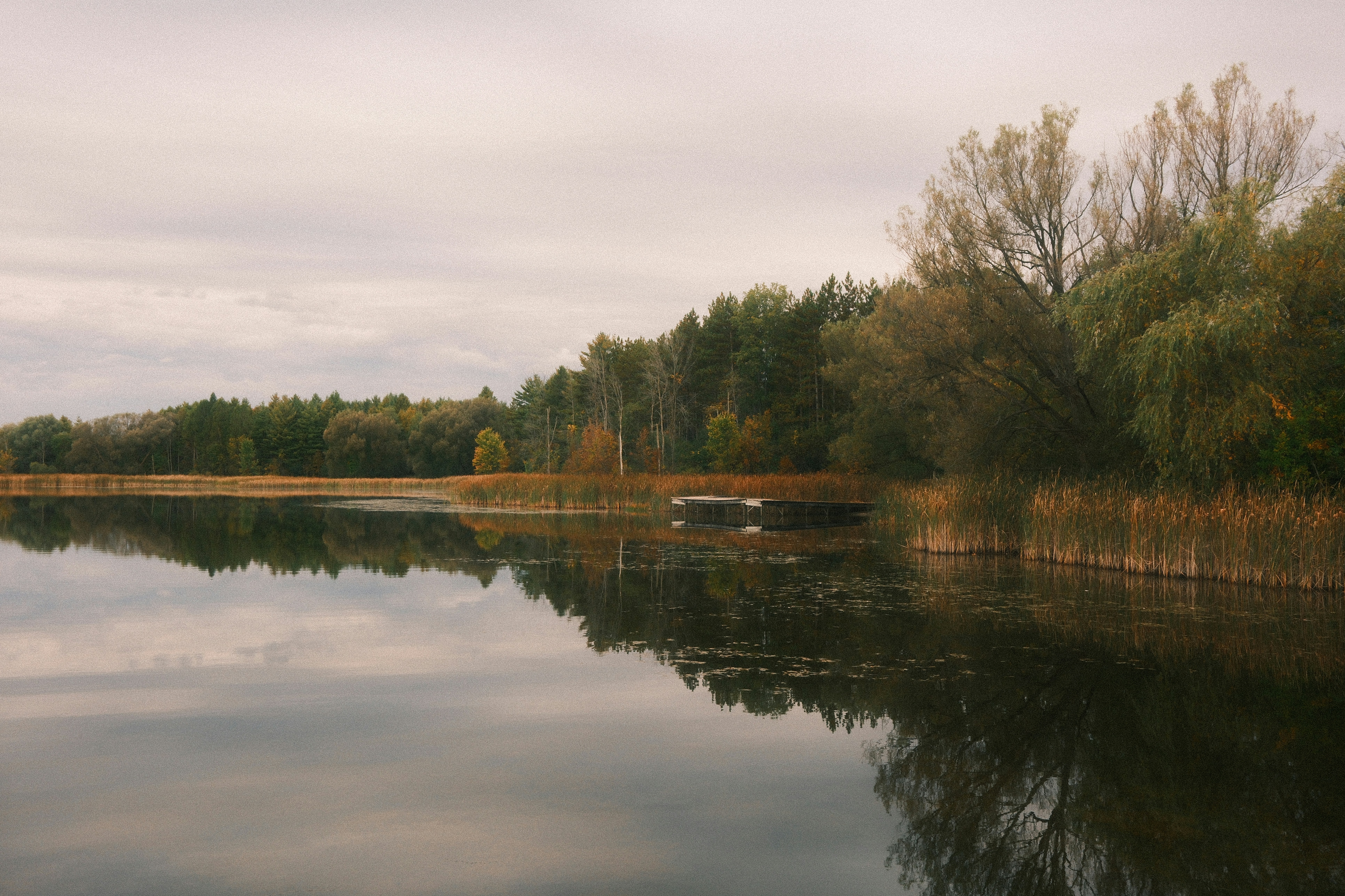 Serene lakeside: a quiet river bend mirrored in autumn hush