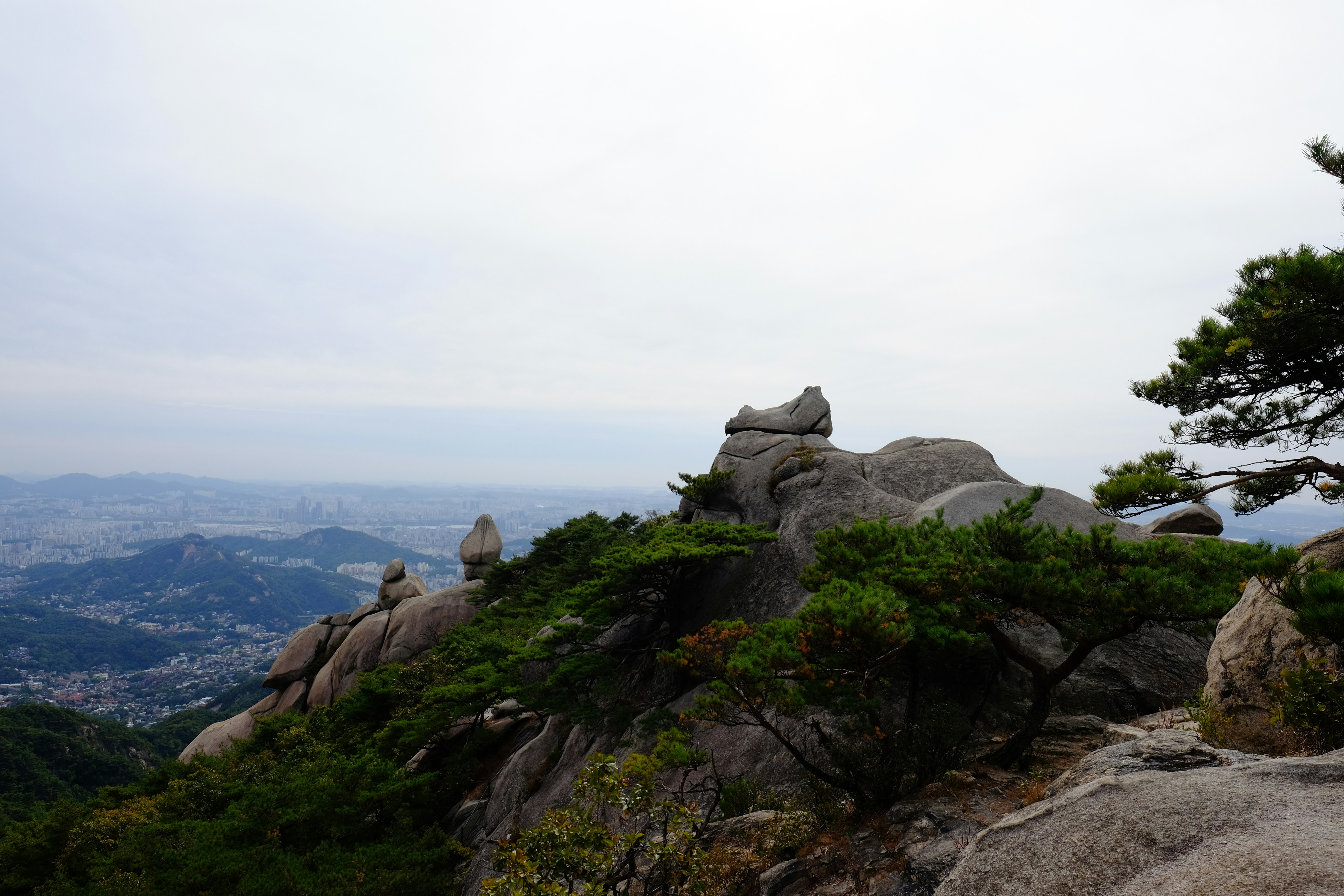 Wind-gnarled pines and granite sentinels above a distant valley