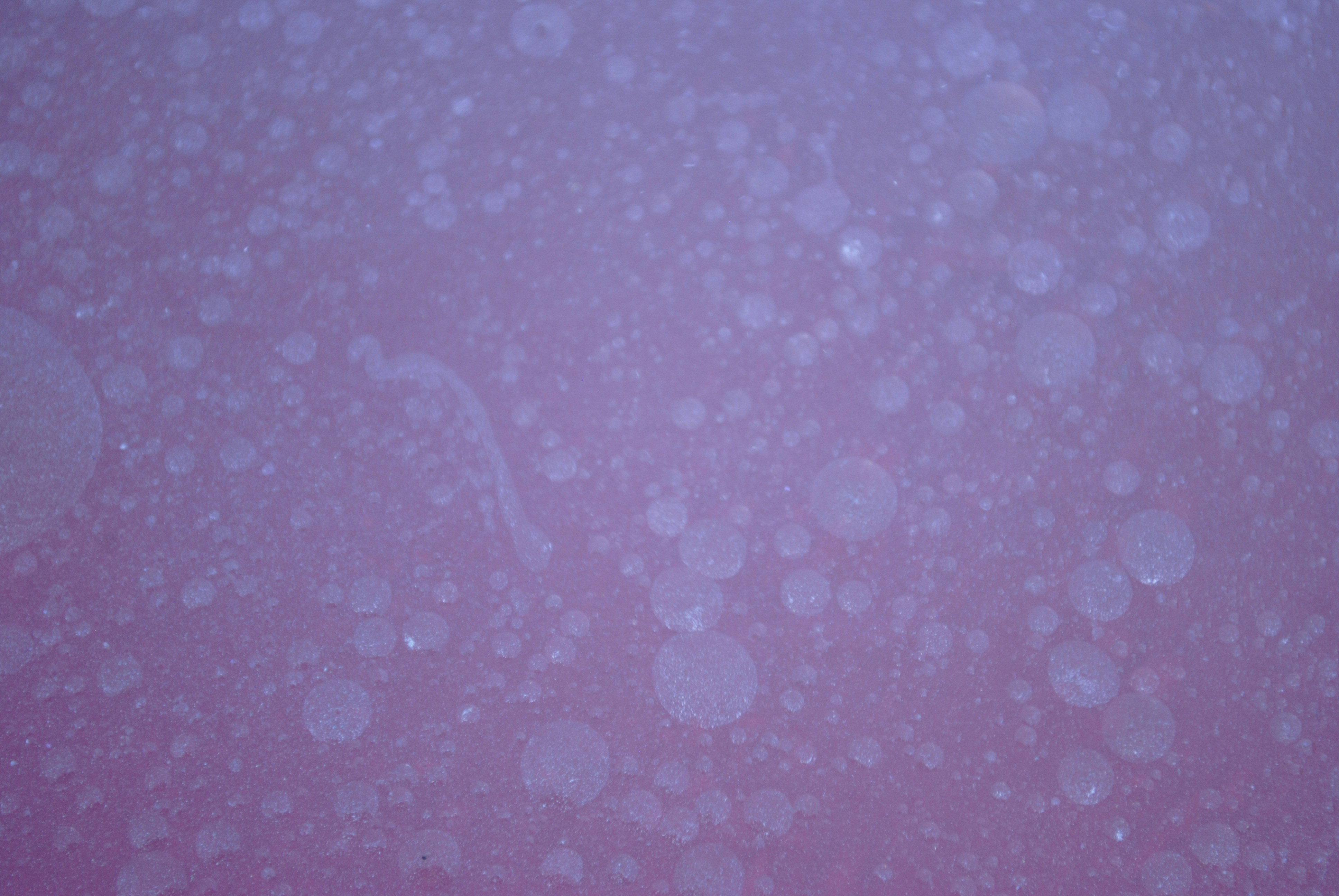 Soft lavender gradient with circular bokeh patterns and subtle texture; abstract background suitable for design or texture usage.