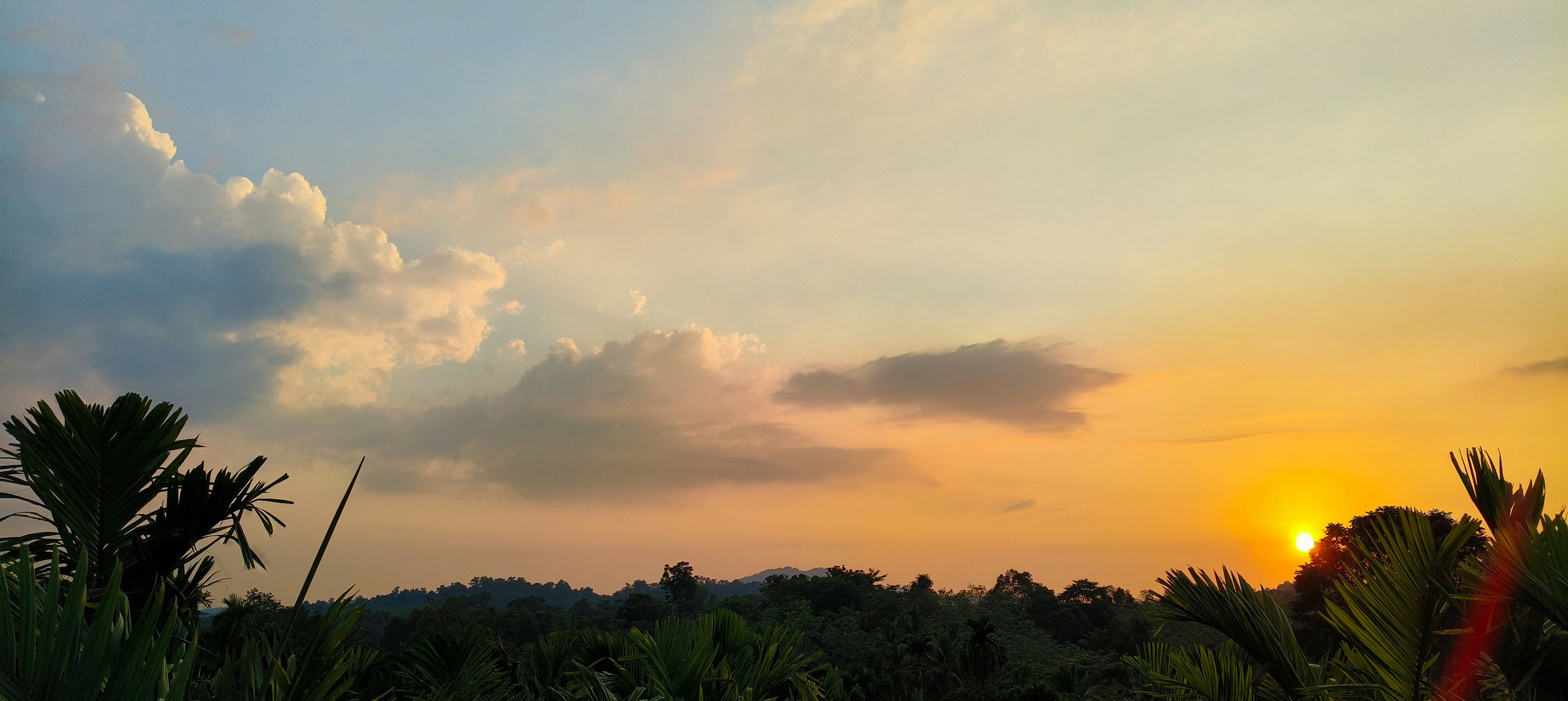 Golden sunset peeks over a distant treeline, with foreground tropical leaves framing the scene in warm glow. The image emphasizes natural horizon lighting and landscape silhouette.