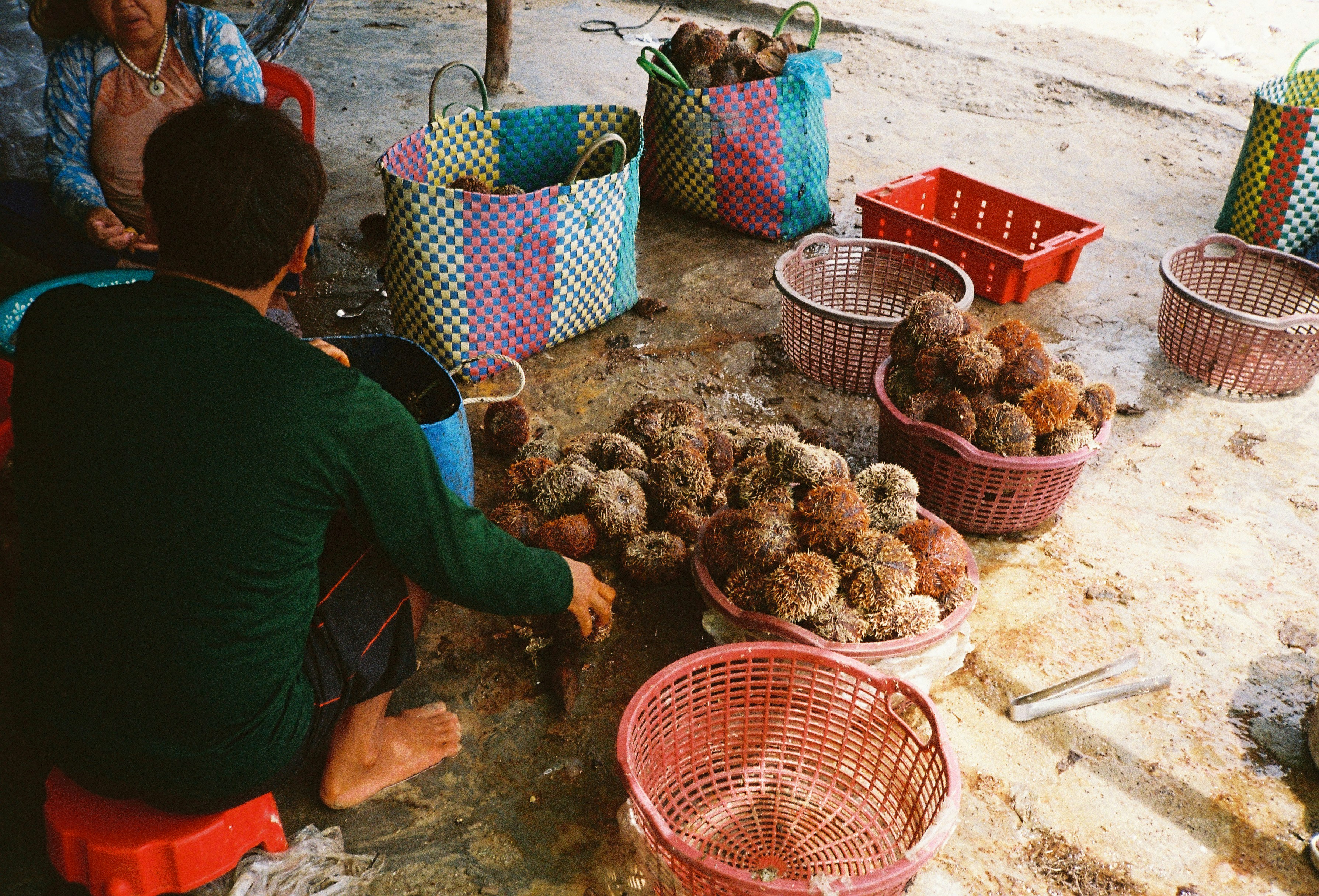 Market Hands: Clustering Baskets and Fresh Kumquat-like Coconuts