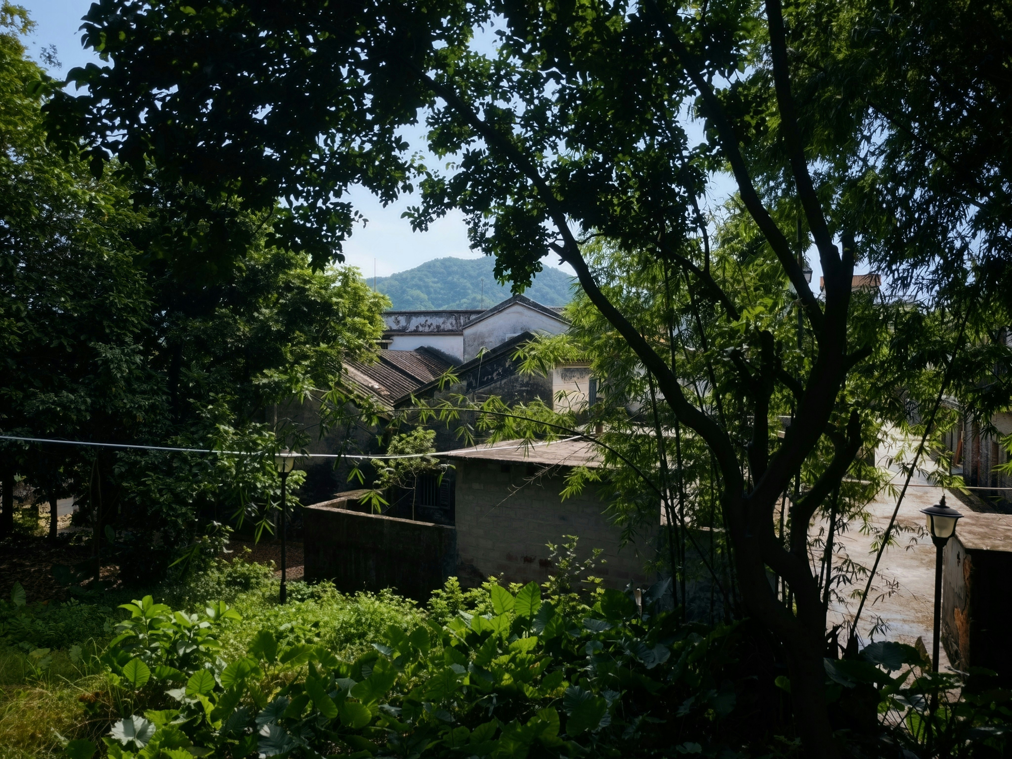 Traditional houses with tiled roofs nestled among lush green trees and a distant mountain